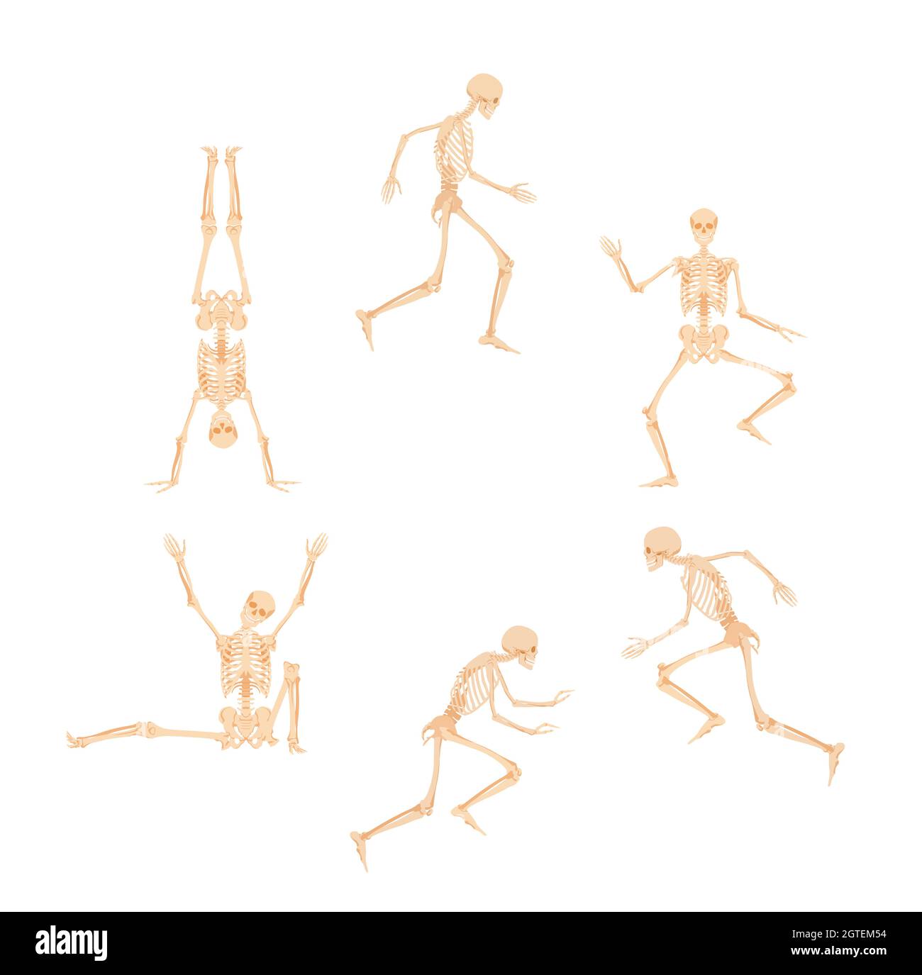 Circle of dancing and running skeletons. Dead people are jumping ...