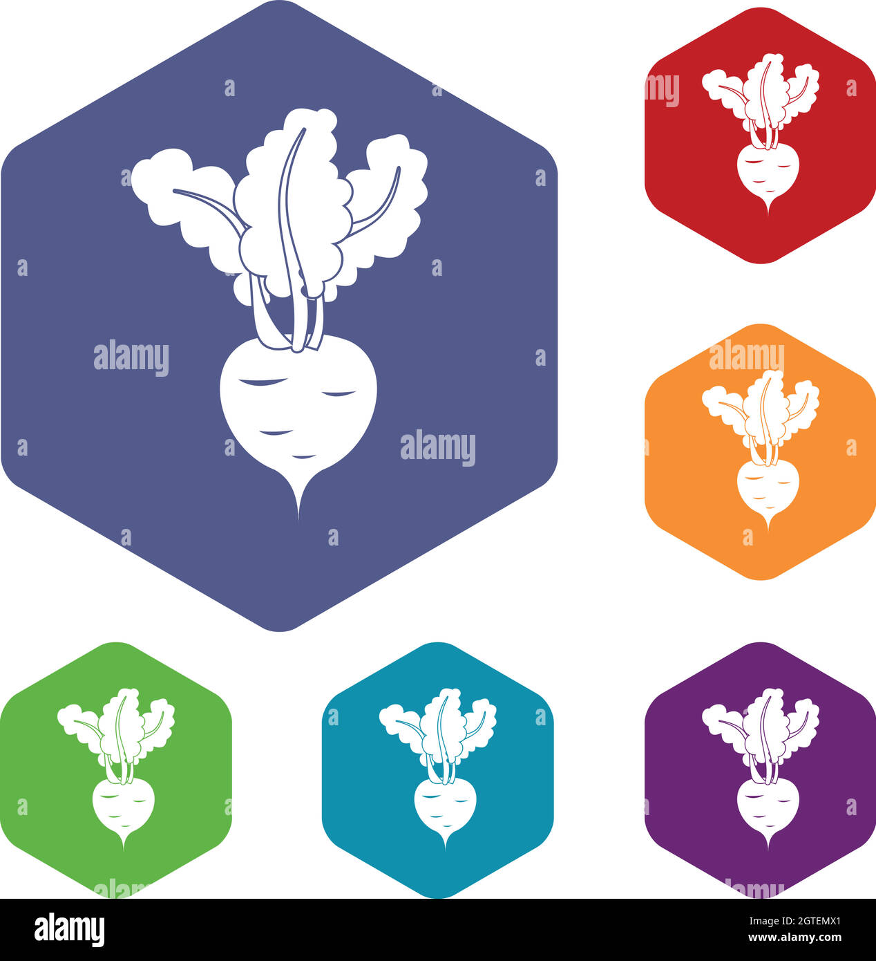 Beetroot icons hi-res stock photography and images - Alamy