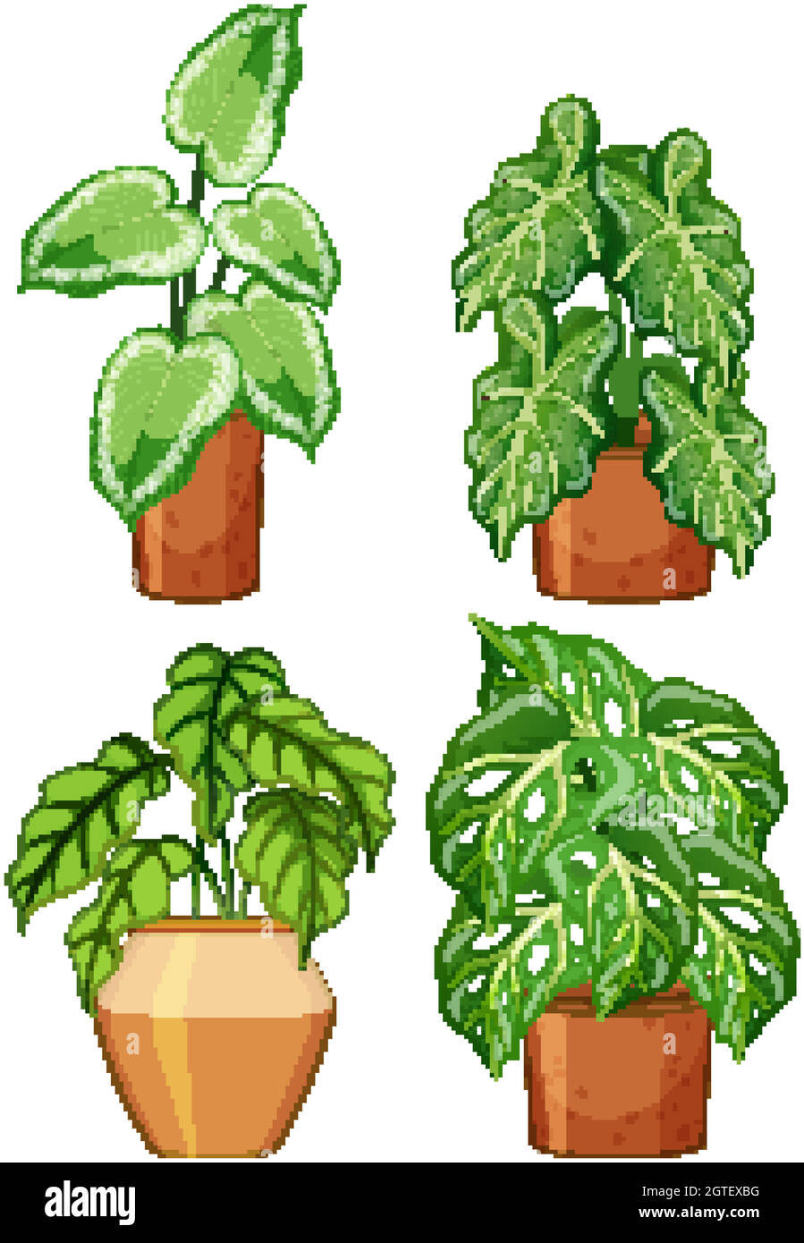 Set leaves in different hi-res stock photography and images - Alamy