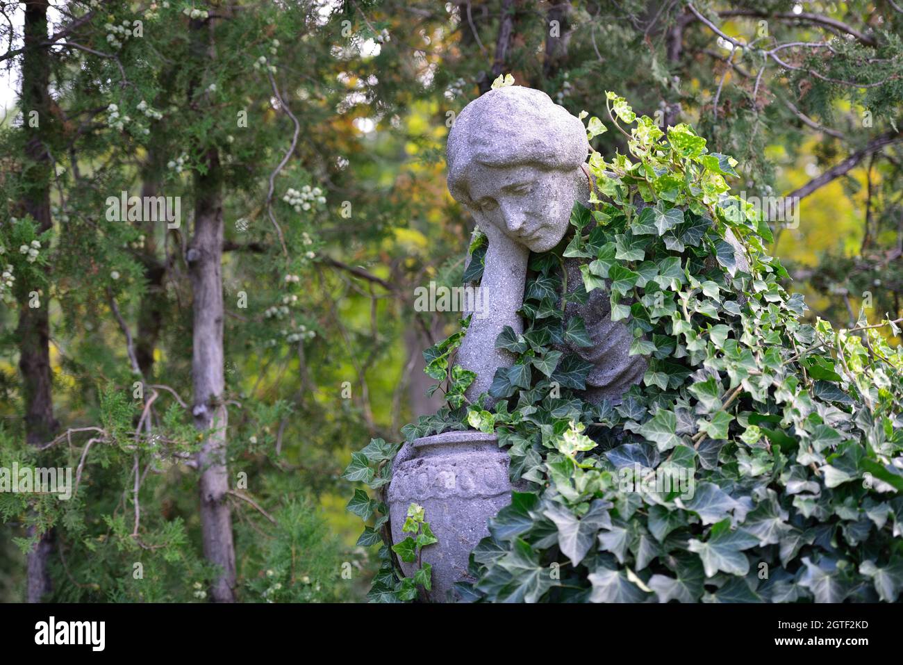 Vienna, Austria. The Vienna Central Cemetery. Stone statue overgrown ...