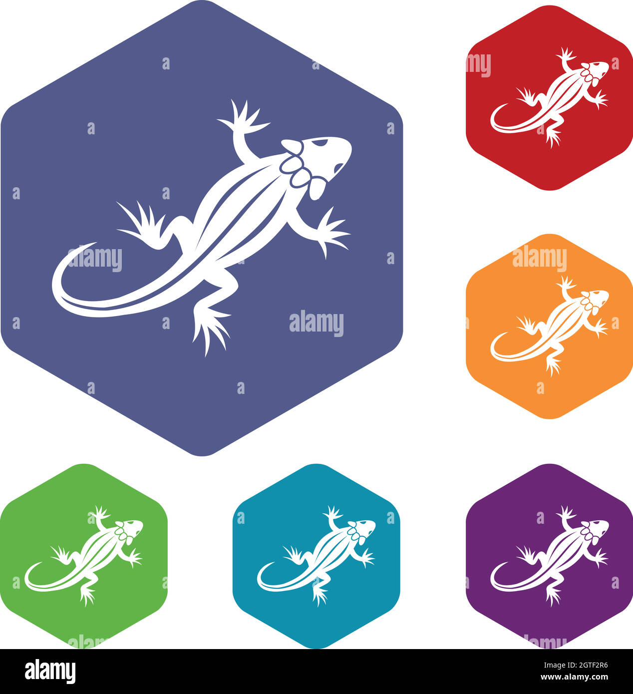 Species of lizard Stock Vector Images - Alamy