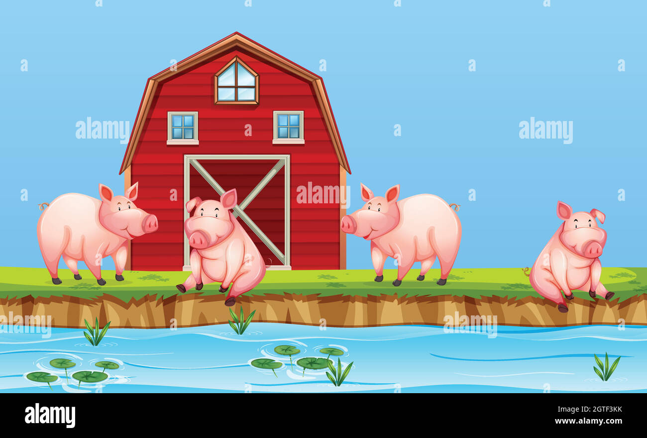 Pigs at the farm Stock Vector Image & Art - Alamy