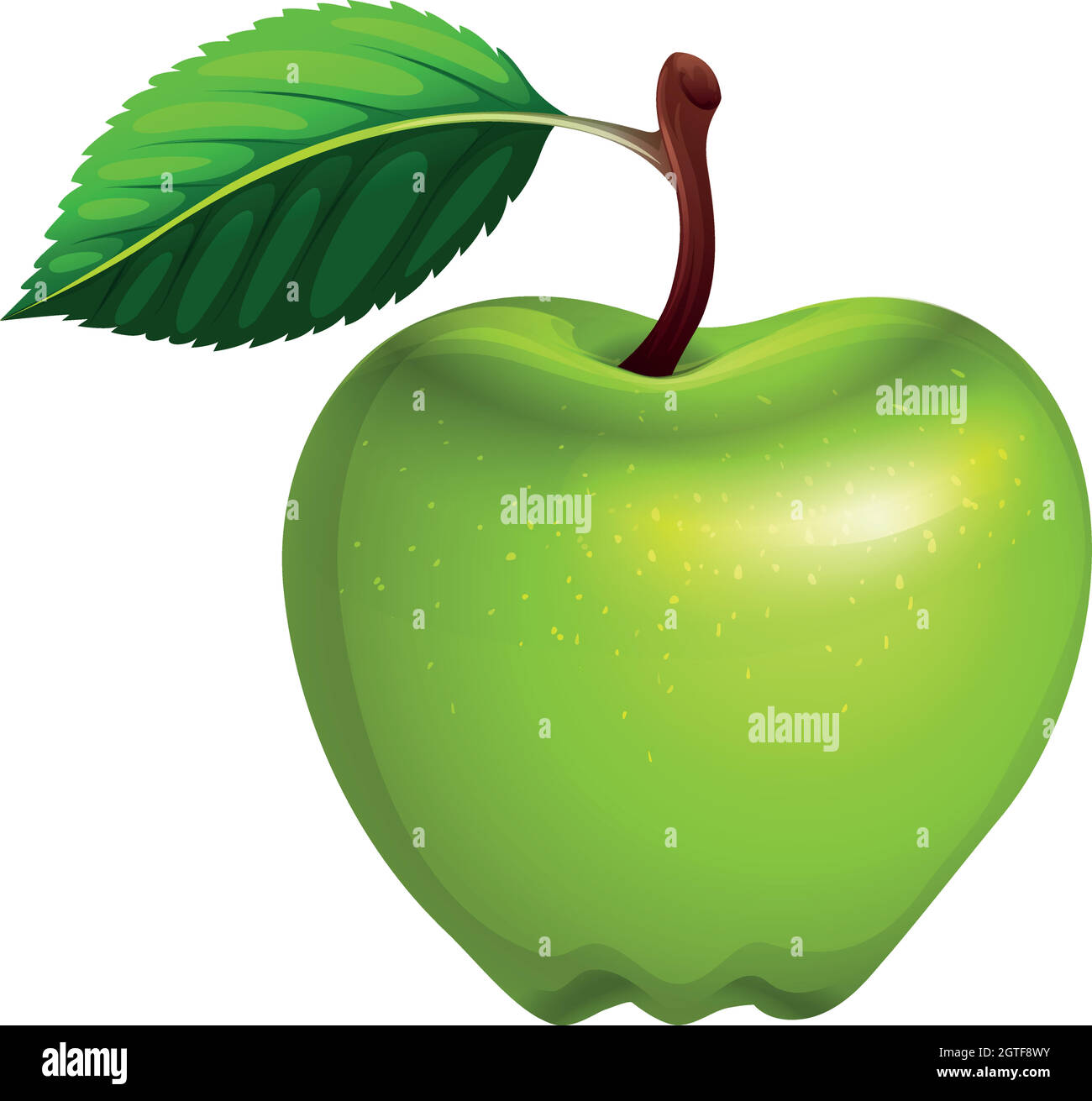 Green apple with leaf and stem Stock Vector Image & Art - Alamy