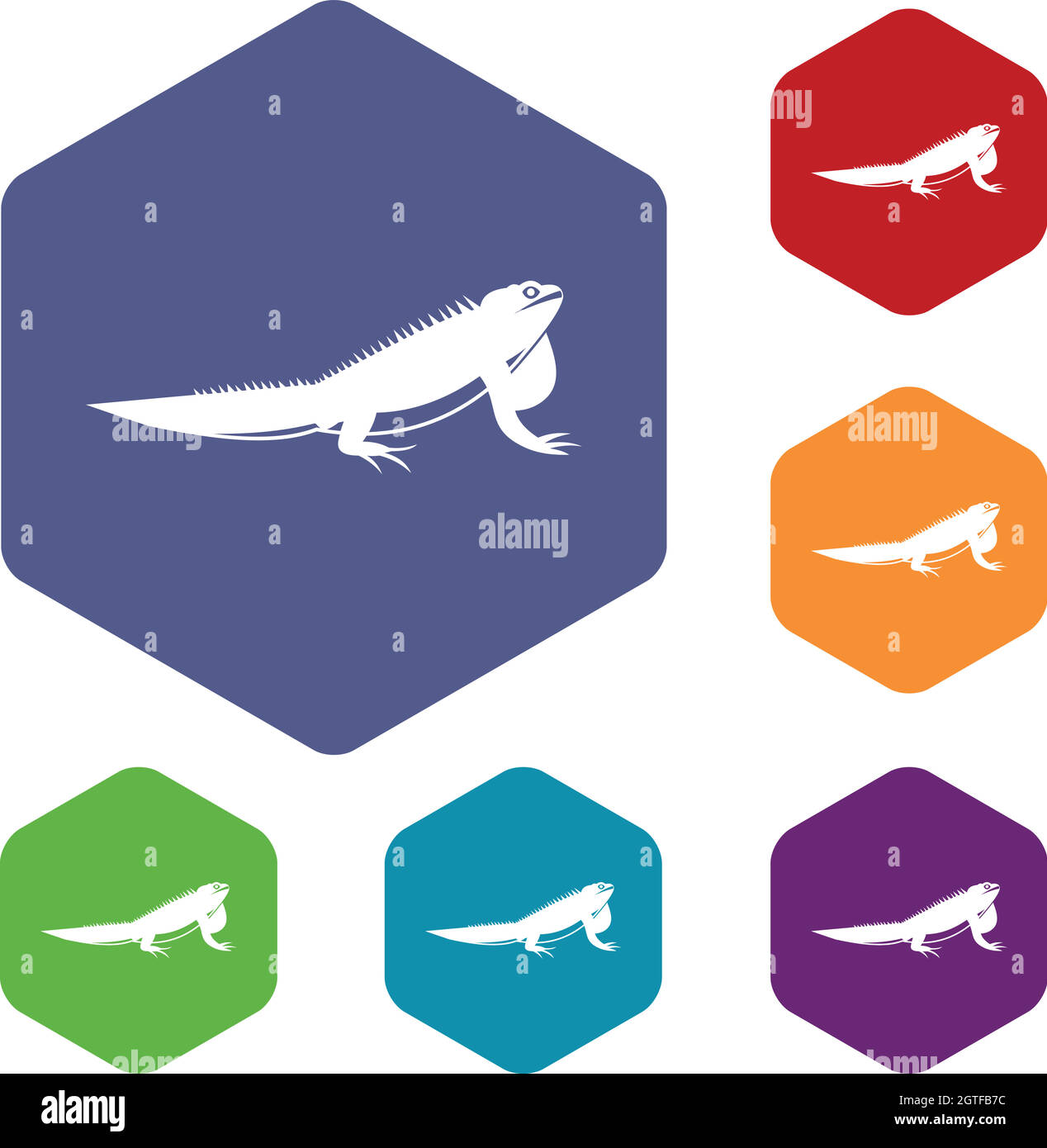 Iguana icons set Stock Vector Image & Art - Alamy