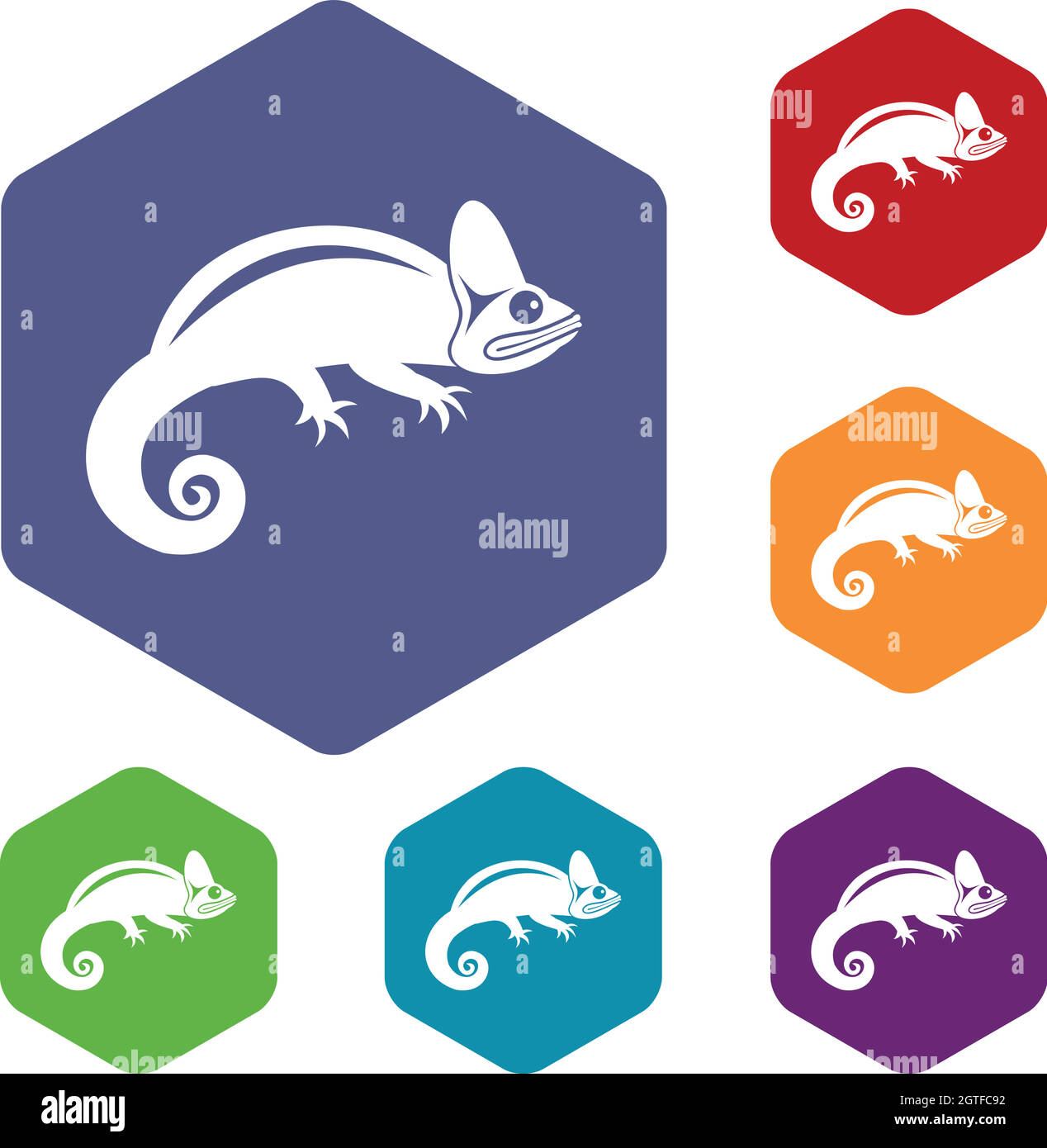Vector graphic chameleon hi-res stock photography and images - Alamy