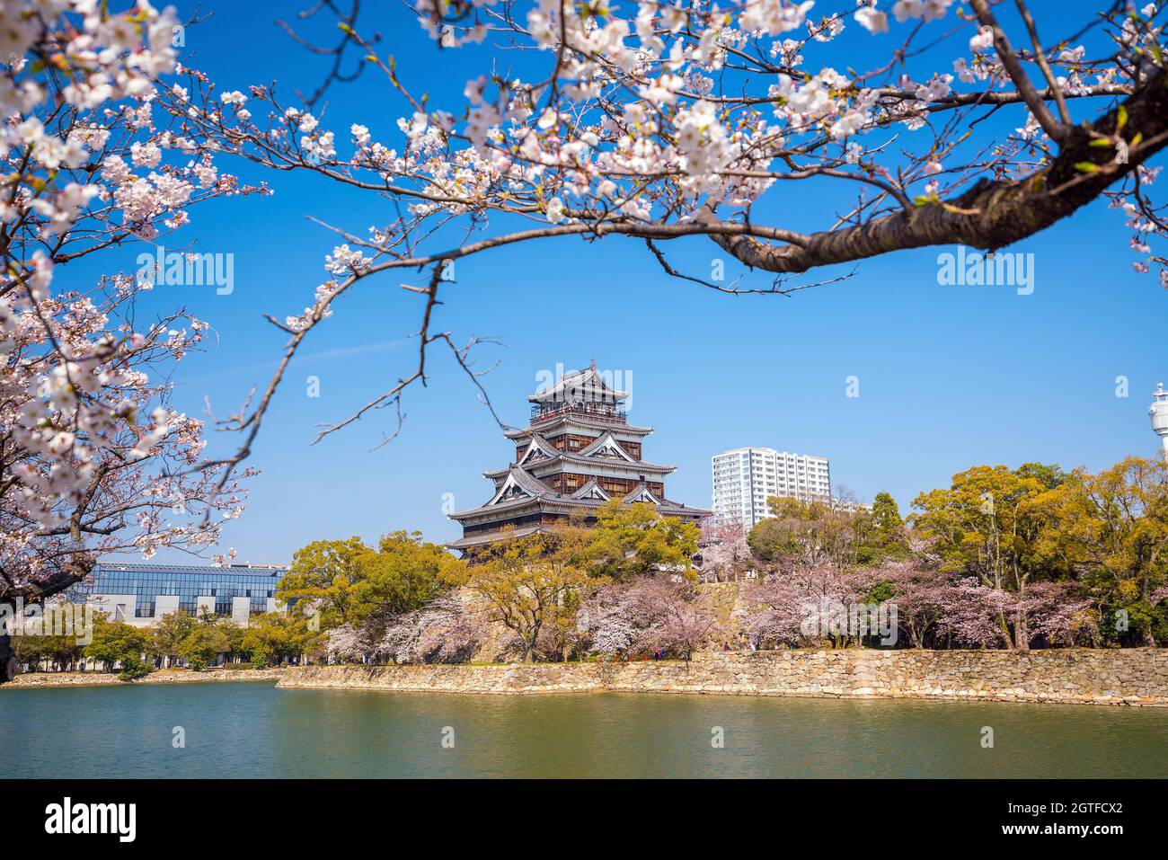Cherry trees in hiroshima hi-res stock photography and images - Alamy
