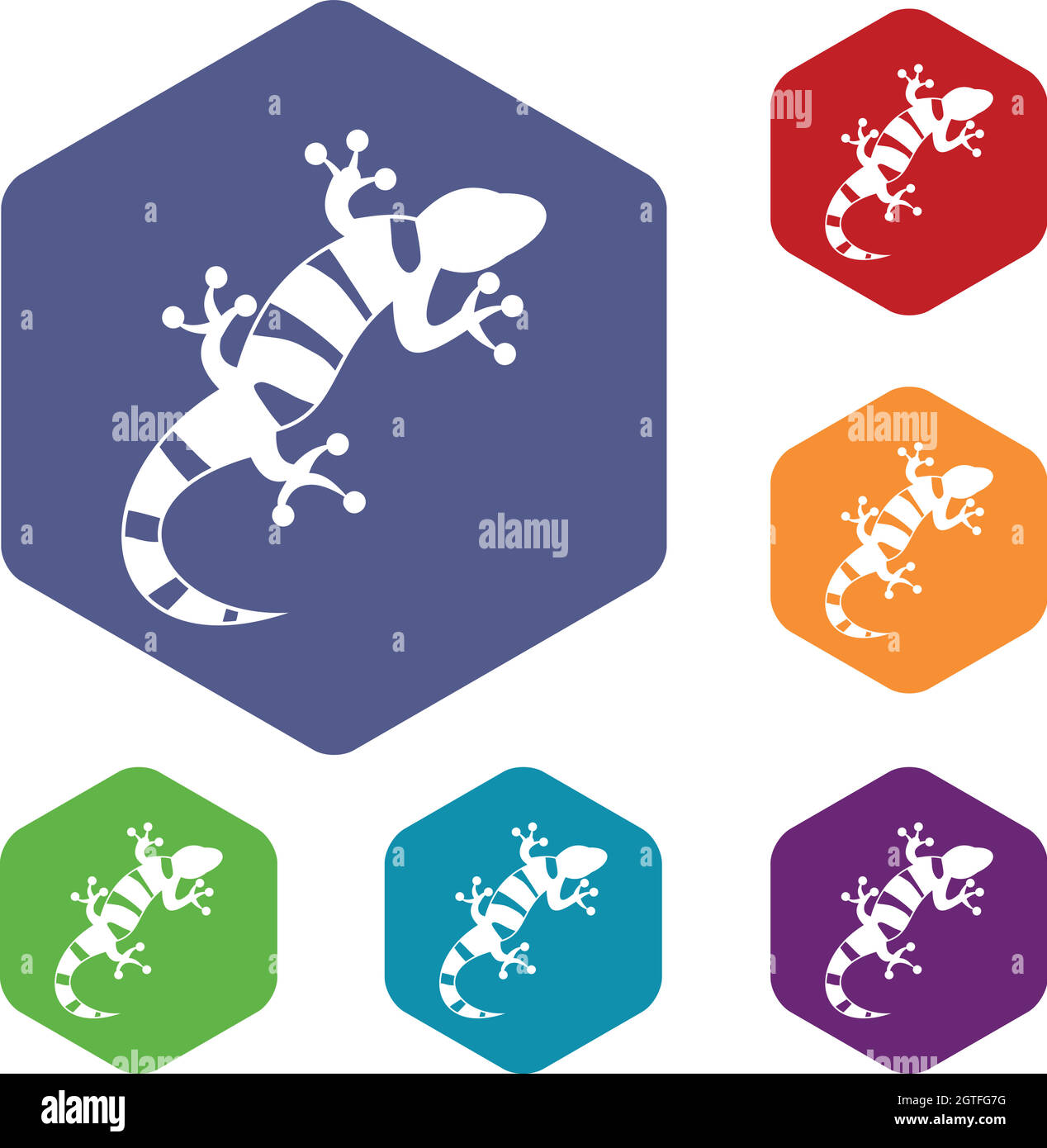 Lizard icons set Stock Vector Image & Art - Alamy