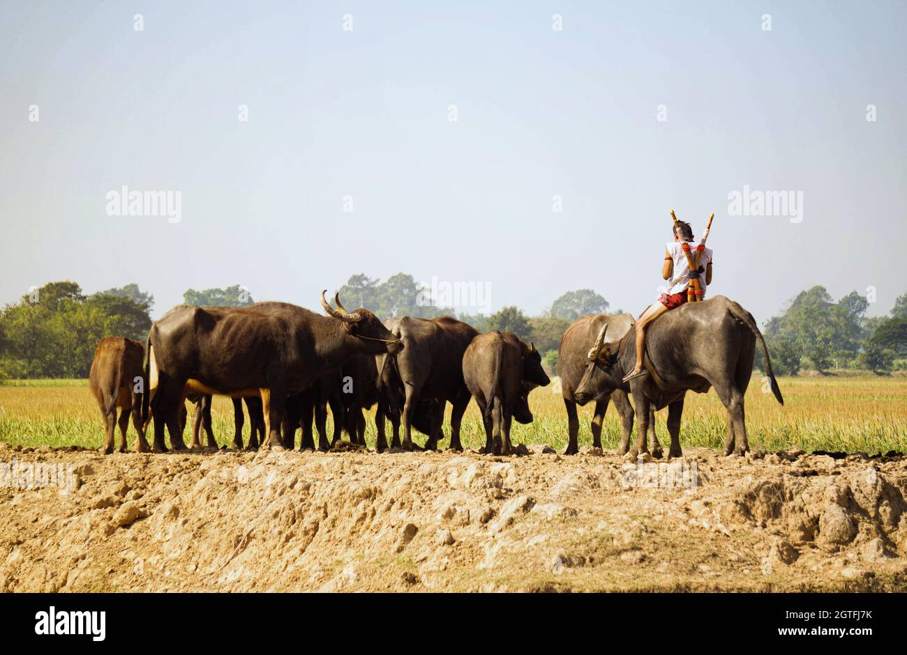Indian on horseback buffalo hi-res stock photography and images - Alamy