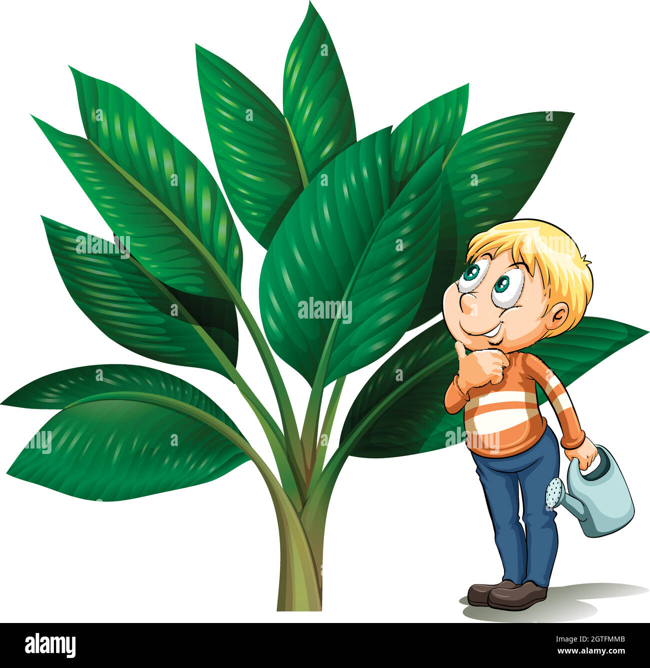Looking up green tree leaves Stock Vector Images - Alamy