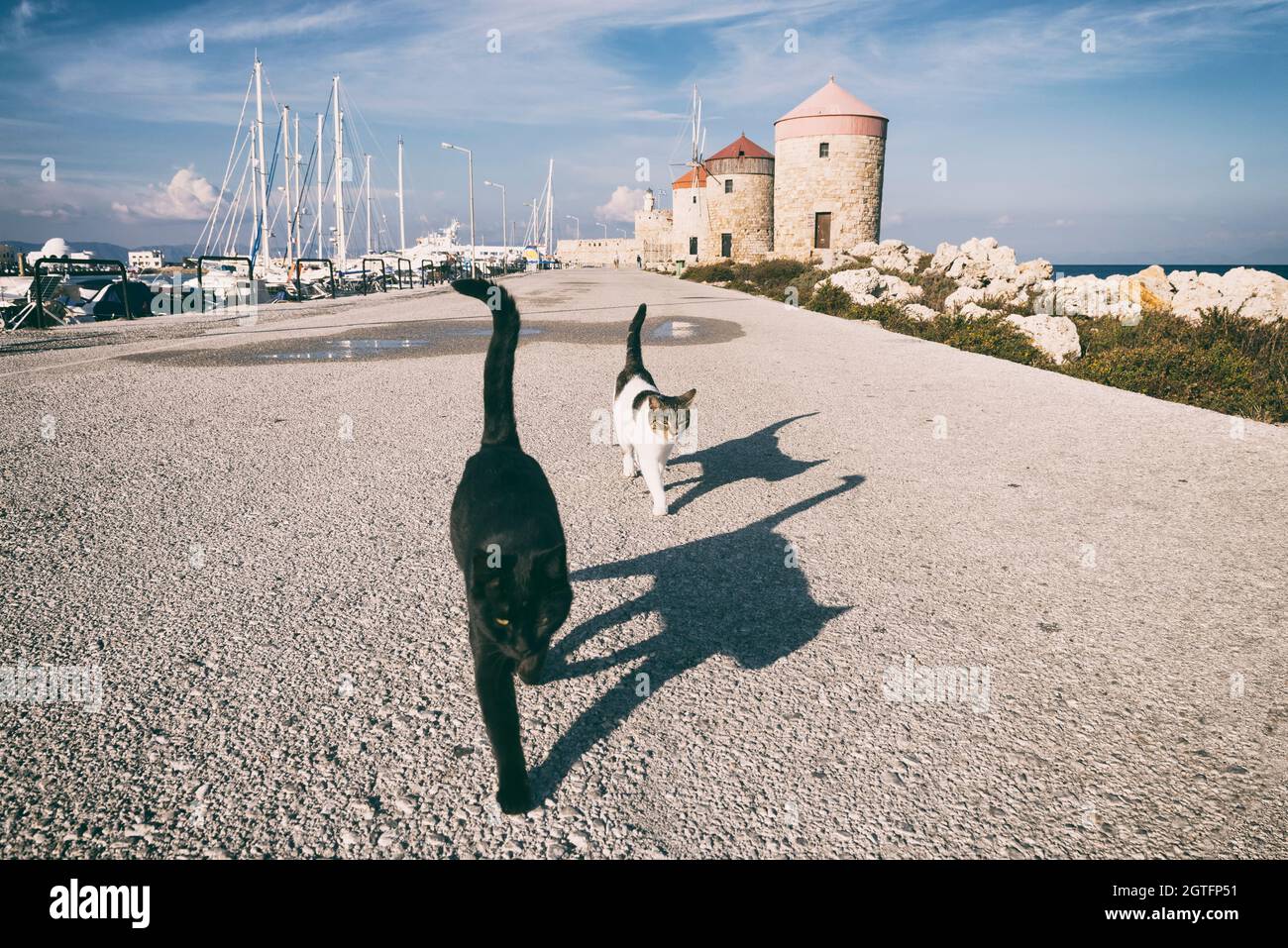 Rhodes Marina High Resolution Stock Photography and Images - Alamy