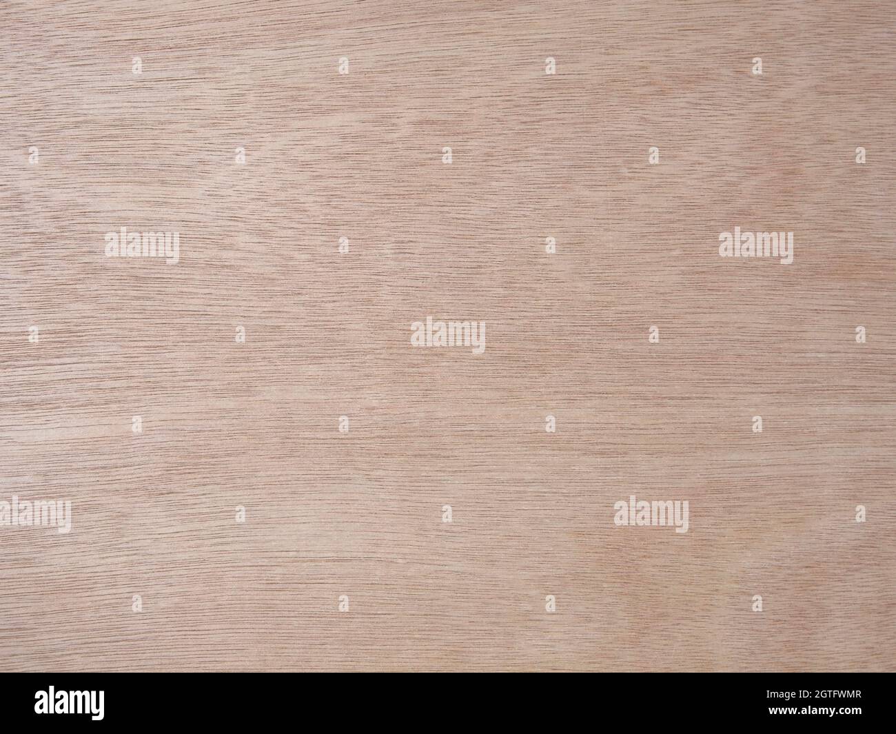 Light plywood texture as background Stock Photo - Alamy