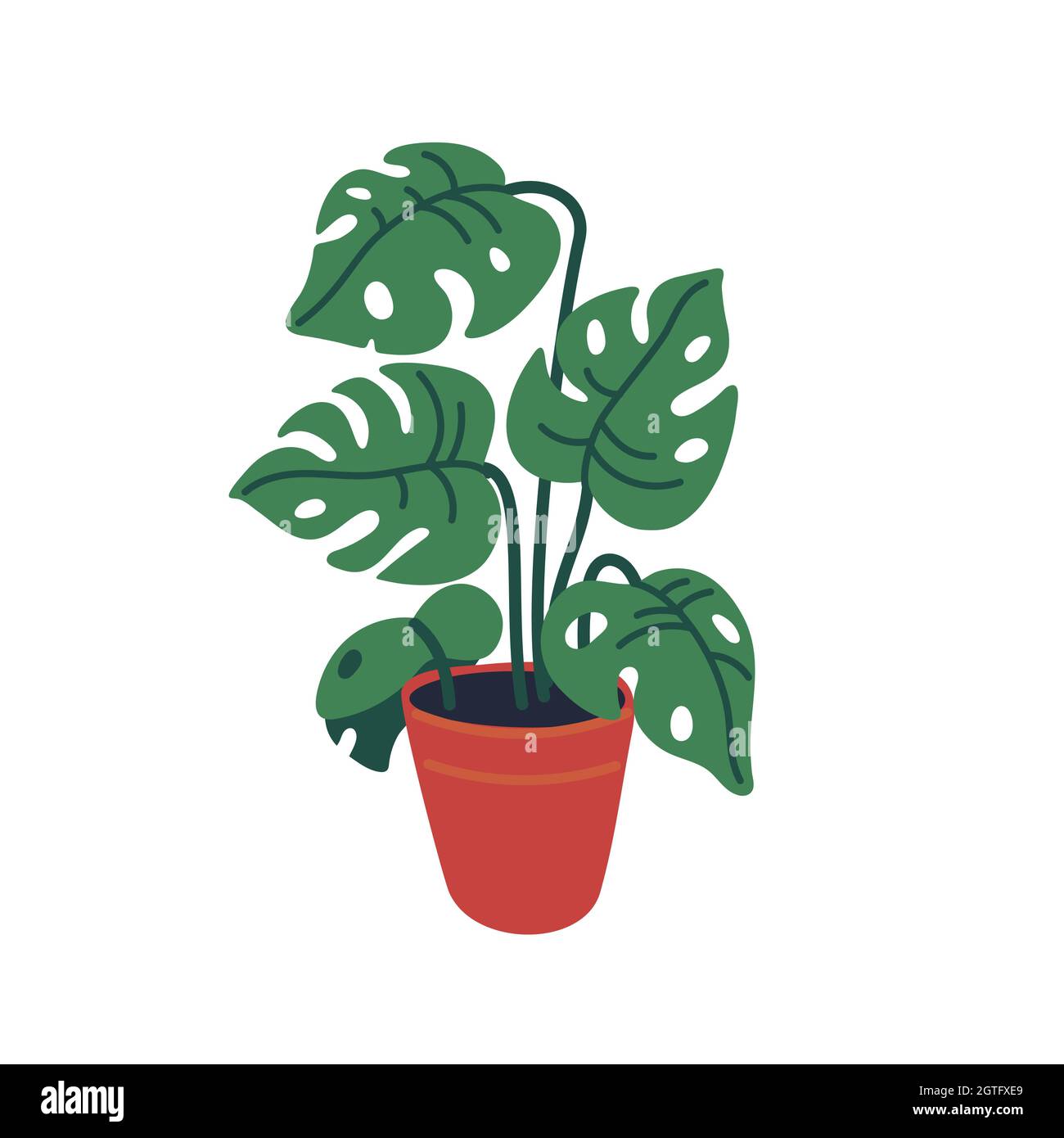 Monstera in the pot, vector plant in the flowerpot. Vector illustration ...