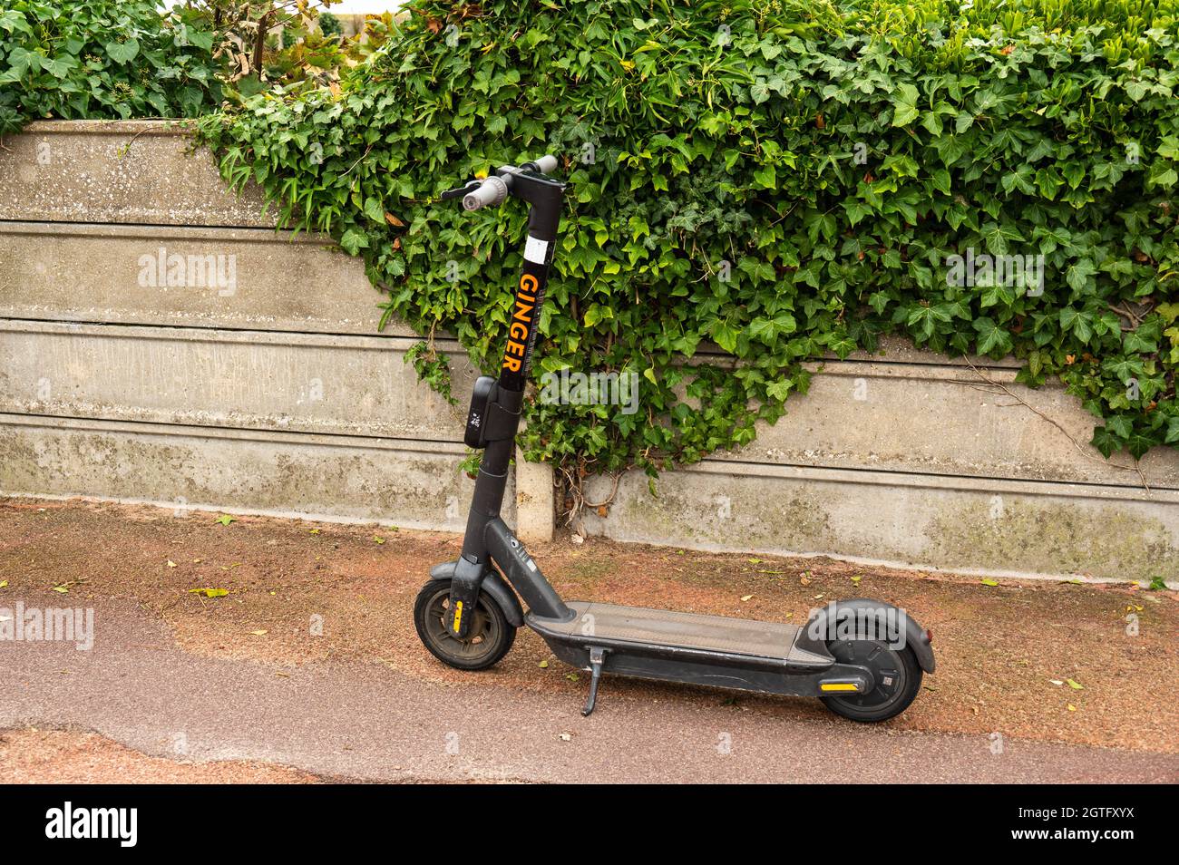 Powered stand up scooter hi-res stock photography and images - Alamy