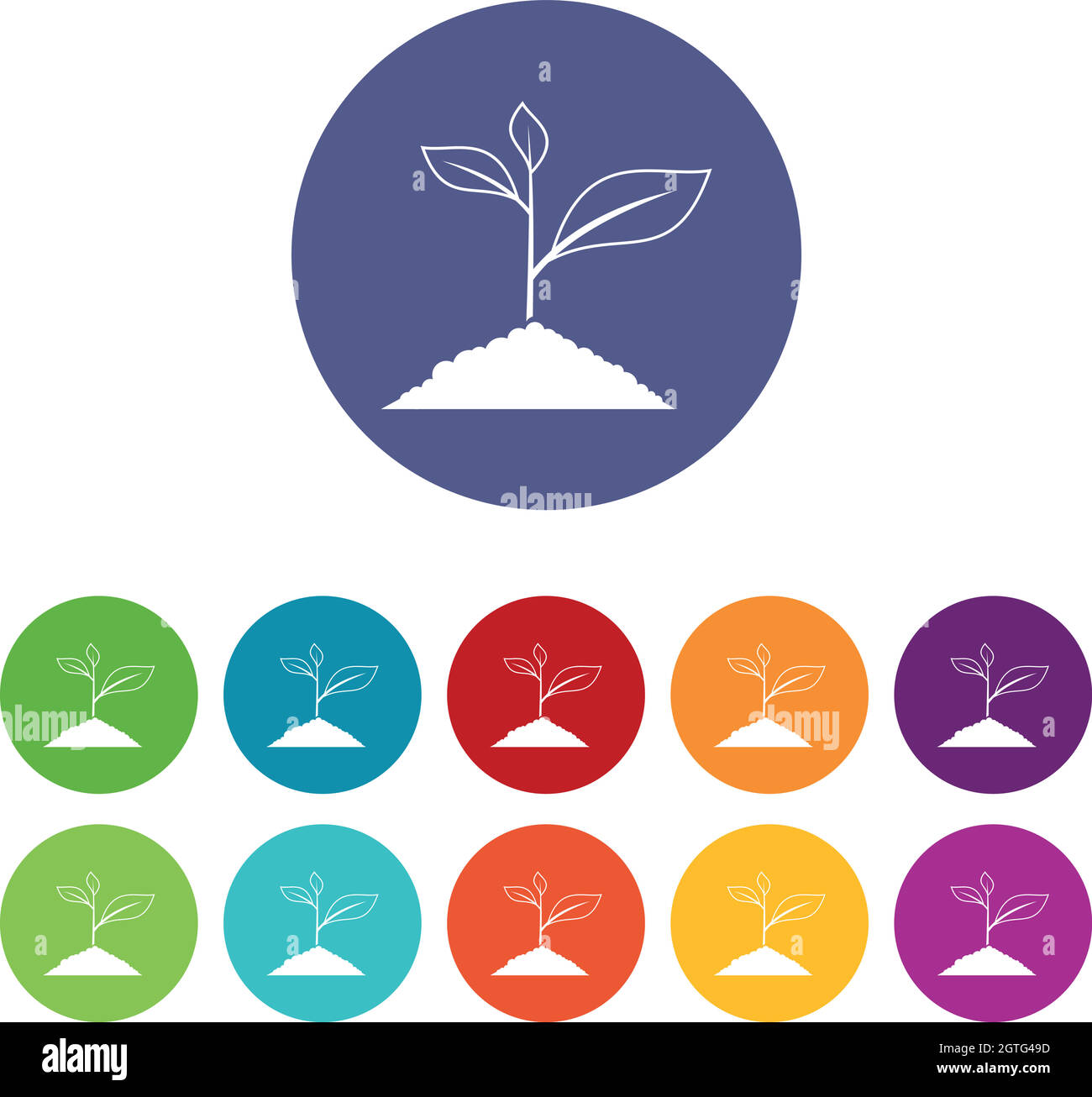 Growing plant Stock Vector Images - Alamy