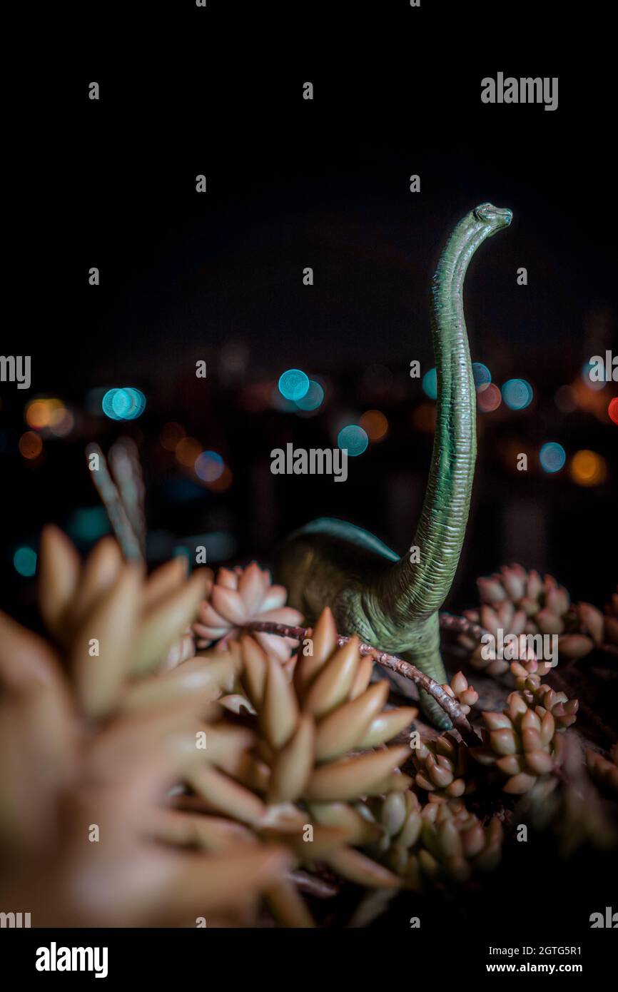 Dinosaur at night hi-res stock photography and images - Alamy