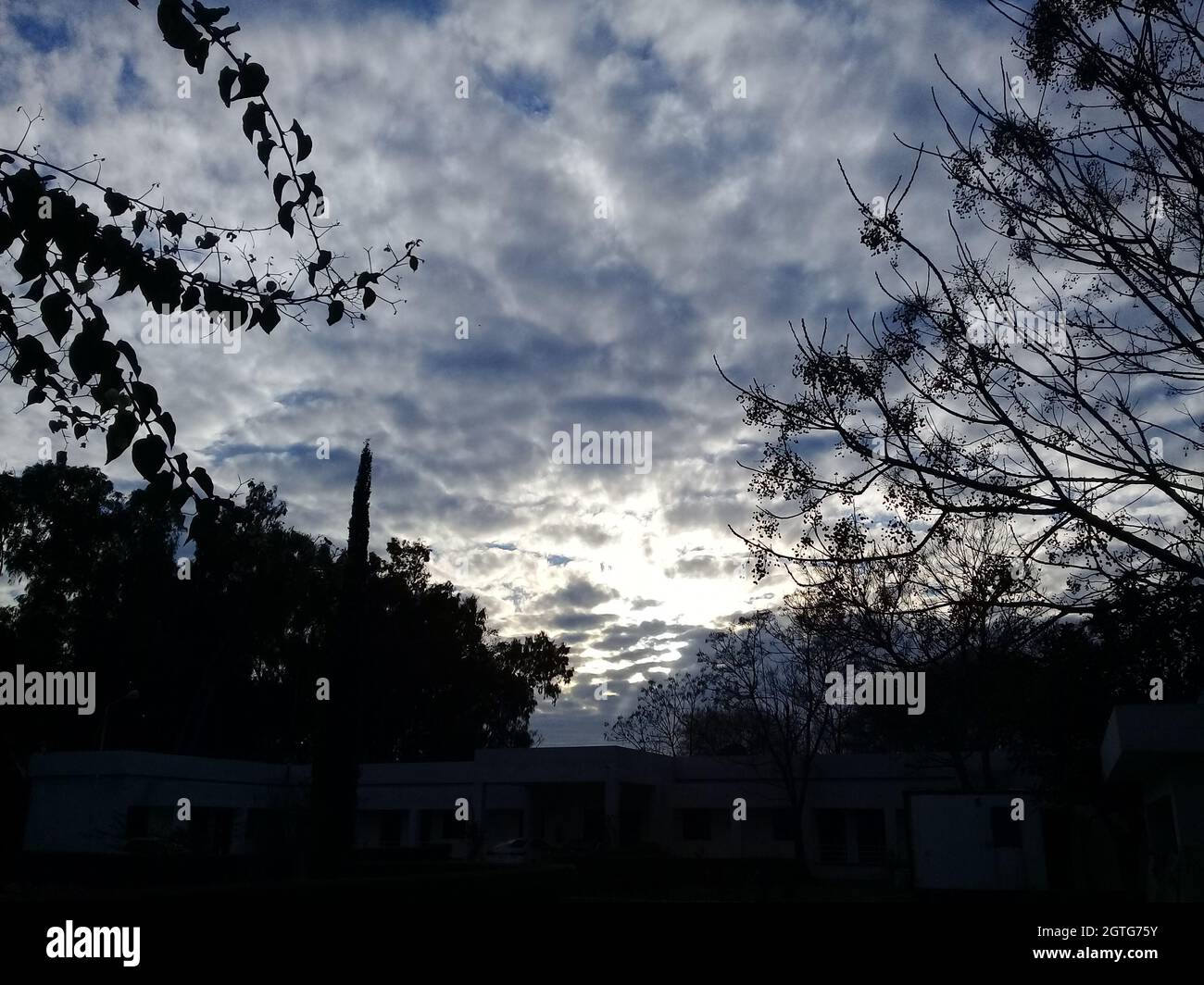 nature is life Stock Photo - Alamy