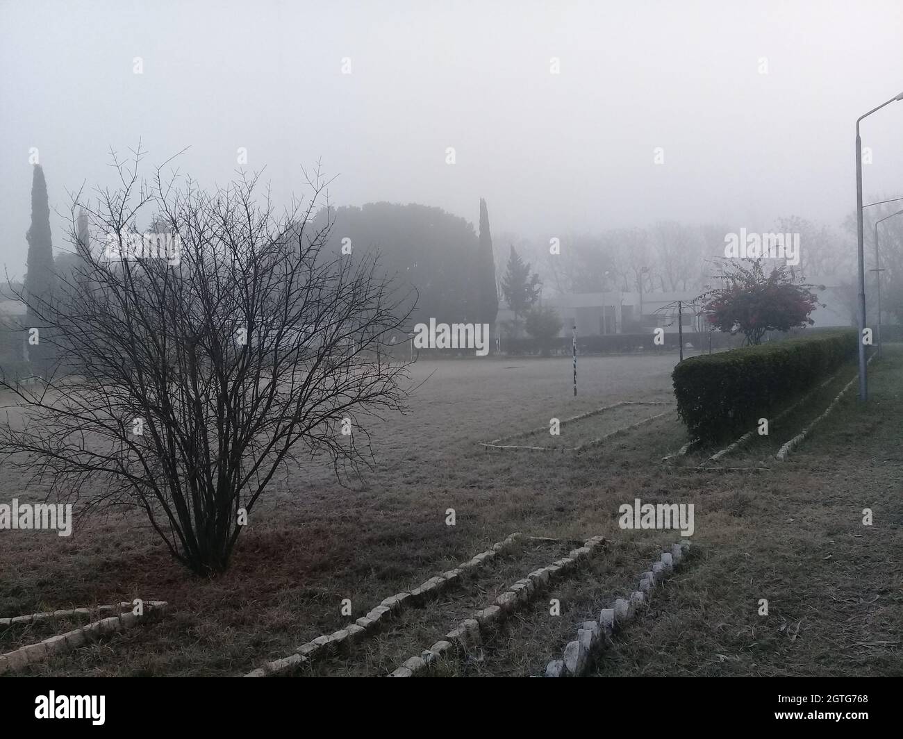 nature is life Stock Photo - Alamy