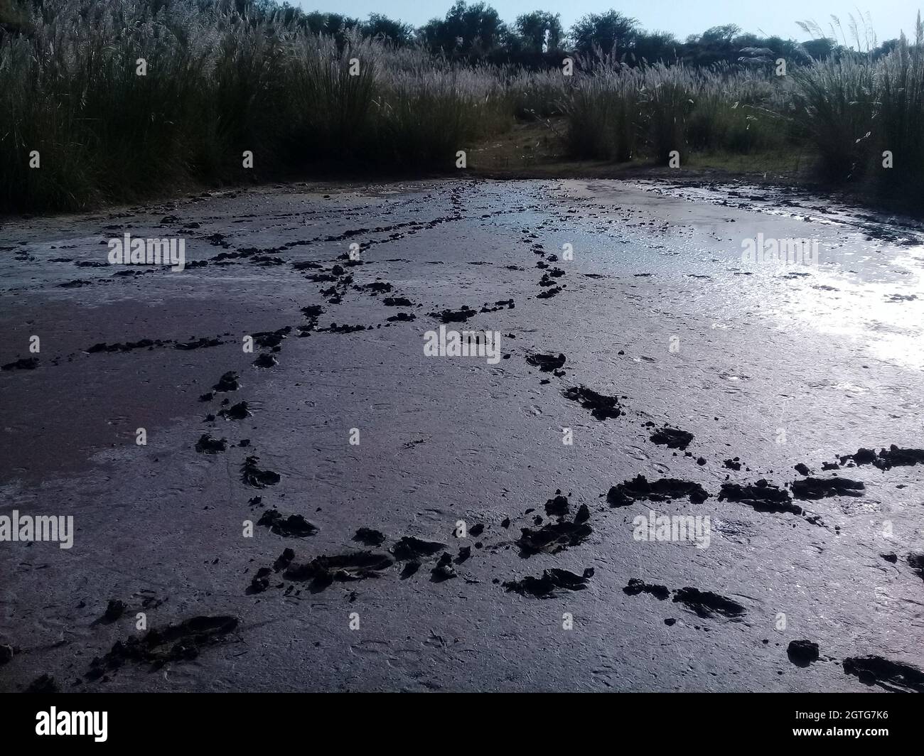 Explore nature hi-res stock photography and images - Alamy