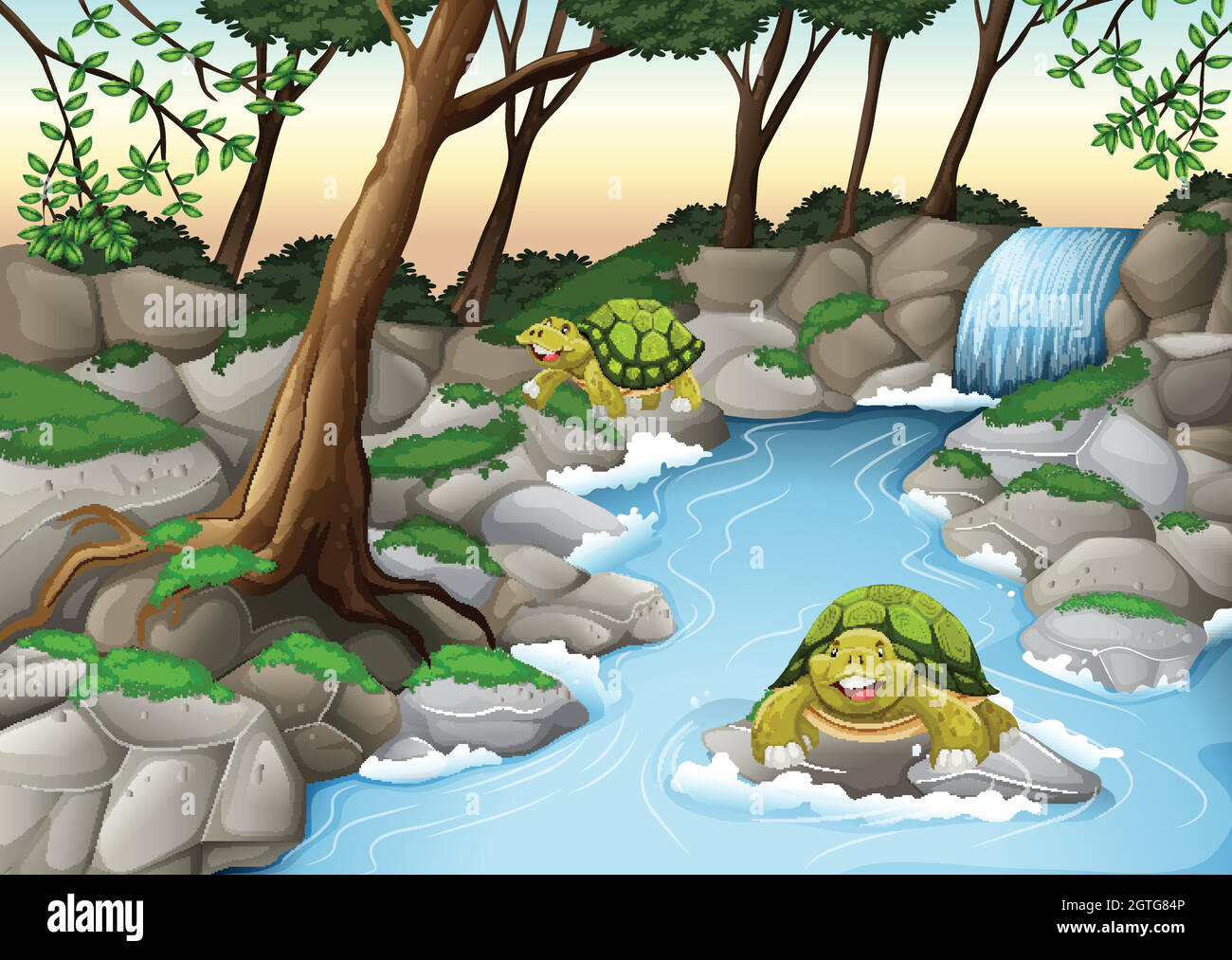 Two turtles living in the river Stock Vector Image & Art - Alamy