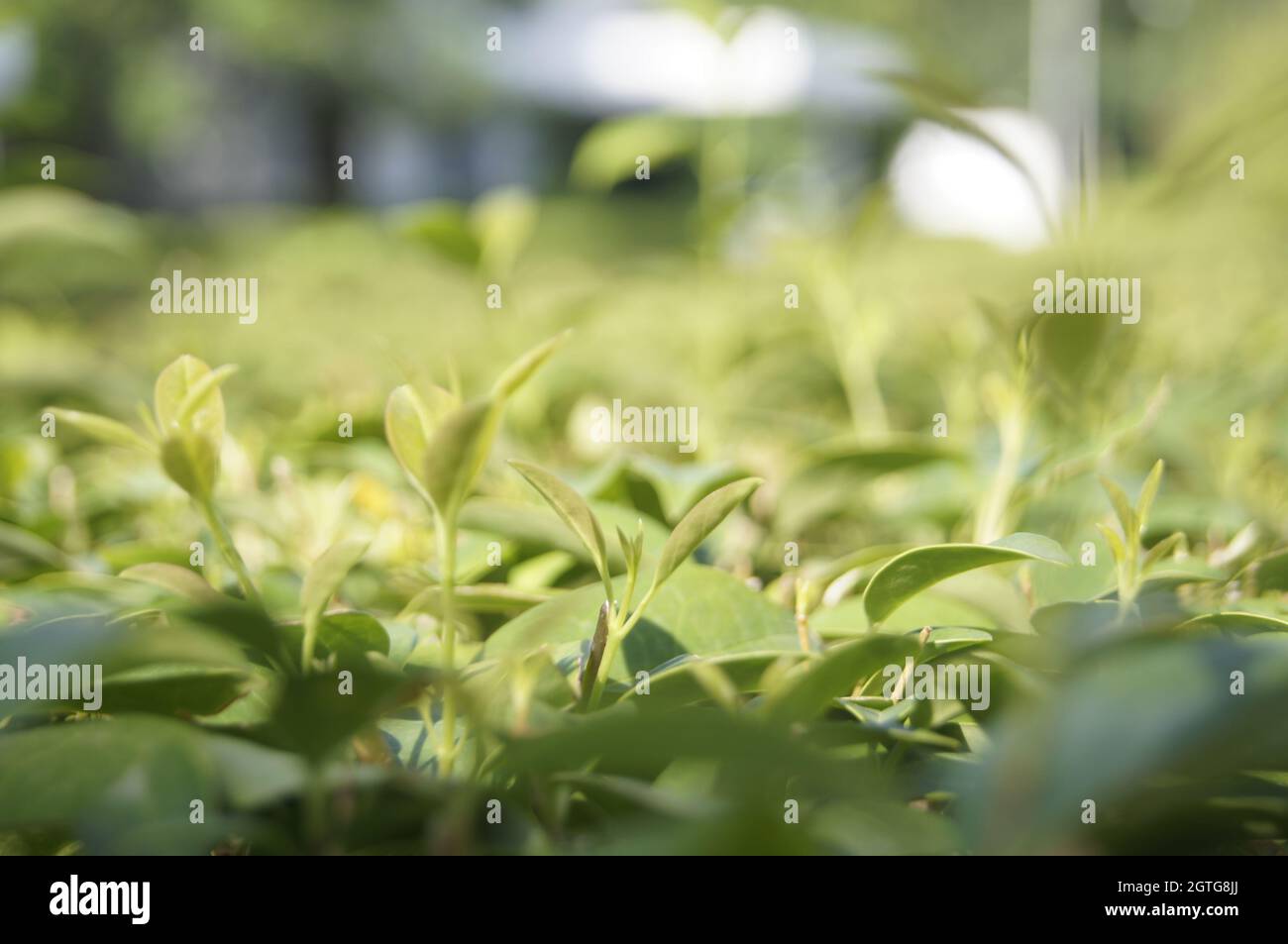 Nature life photos hi-res stock photography and images - Alamy