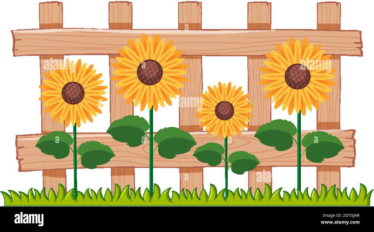 Beautiful garden fences Stock Vector Images - Alamy