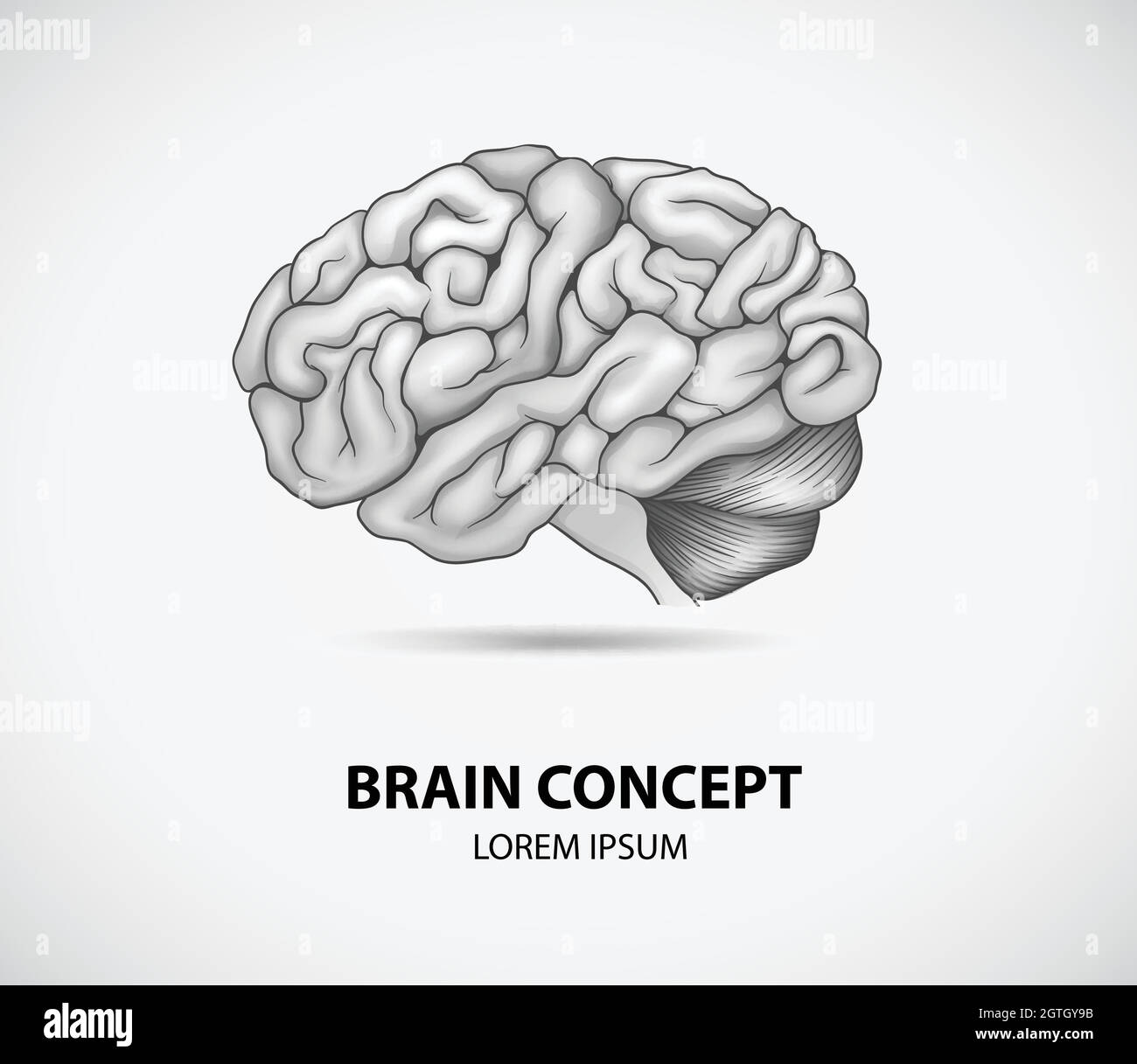Brain Graphic Black And White