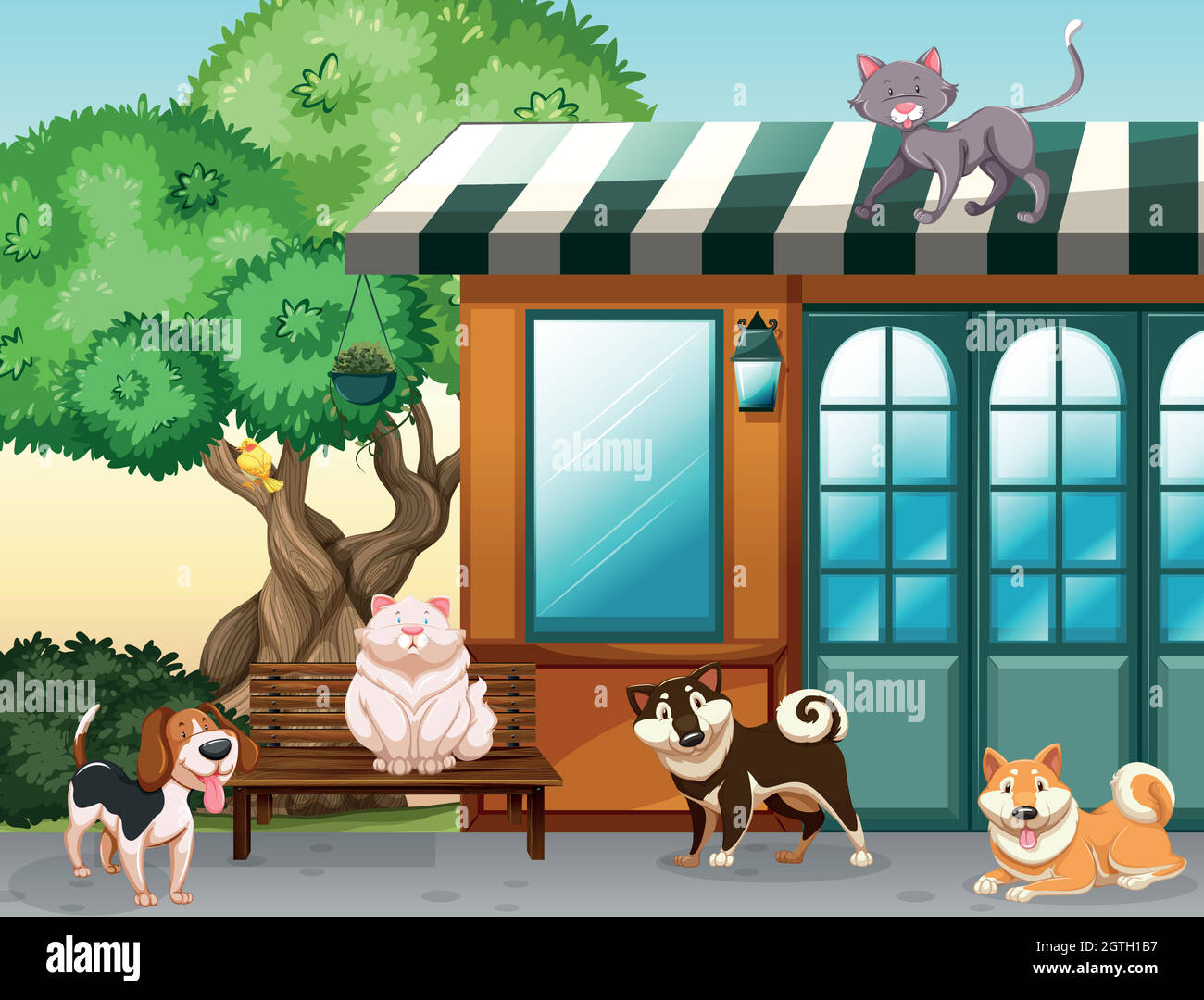 Domestic garden bird Stock Vector Images - Alamy