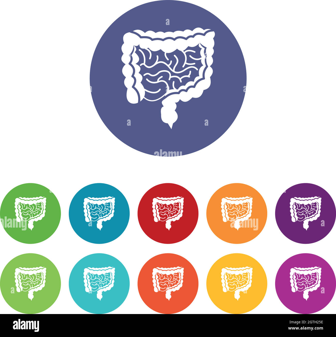 Intestines set icons Stock Vector Image & Art - Alamy