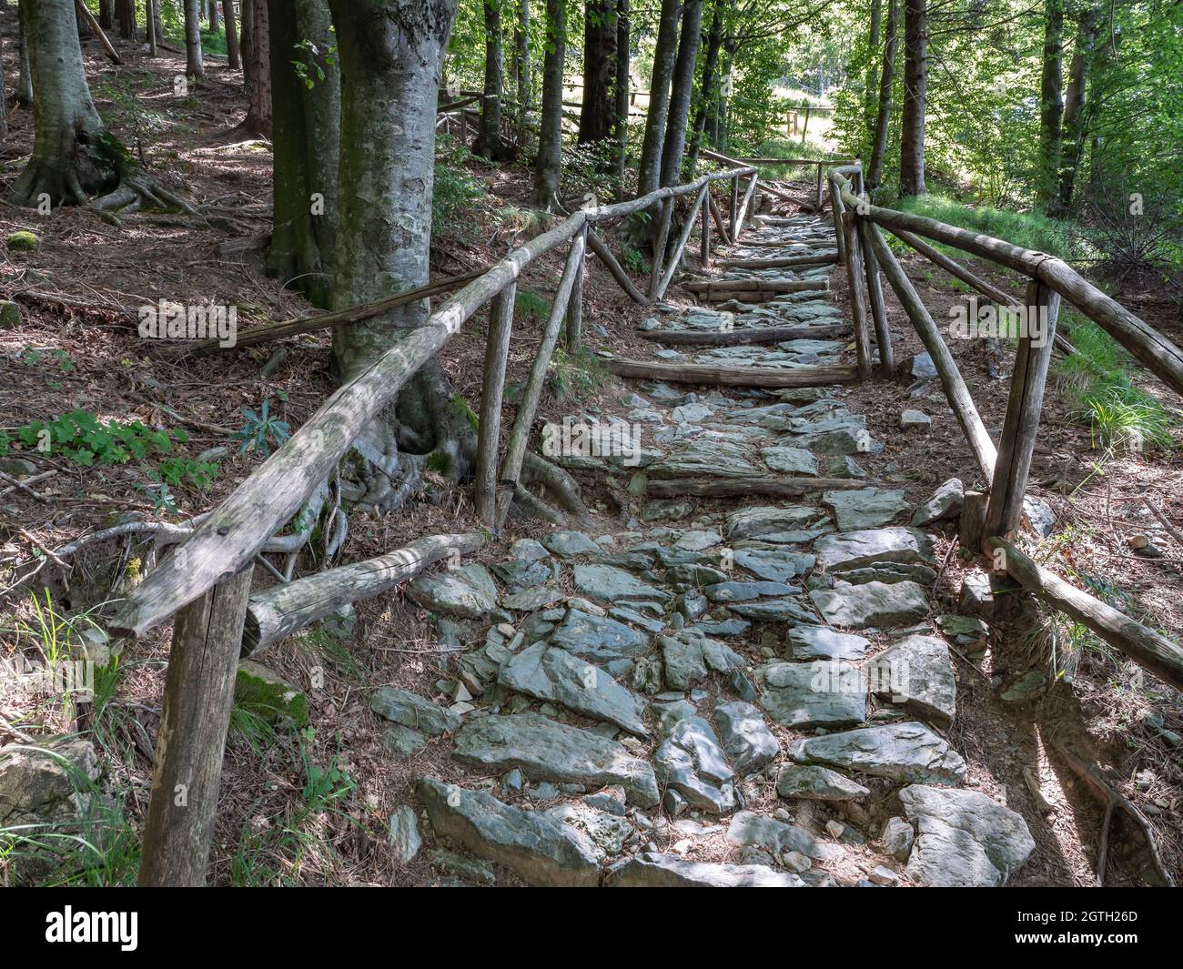 Path with Pebbles, Stones and Wooden Handrail in the Woods Stock Photo ...