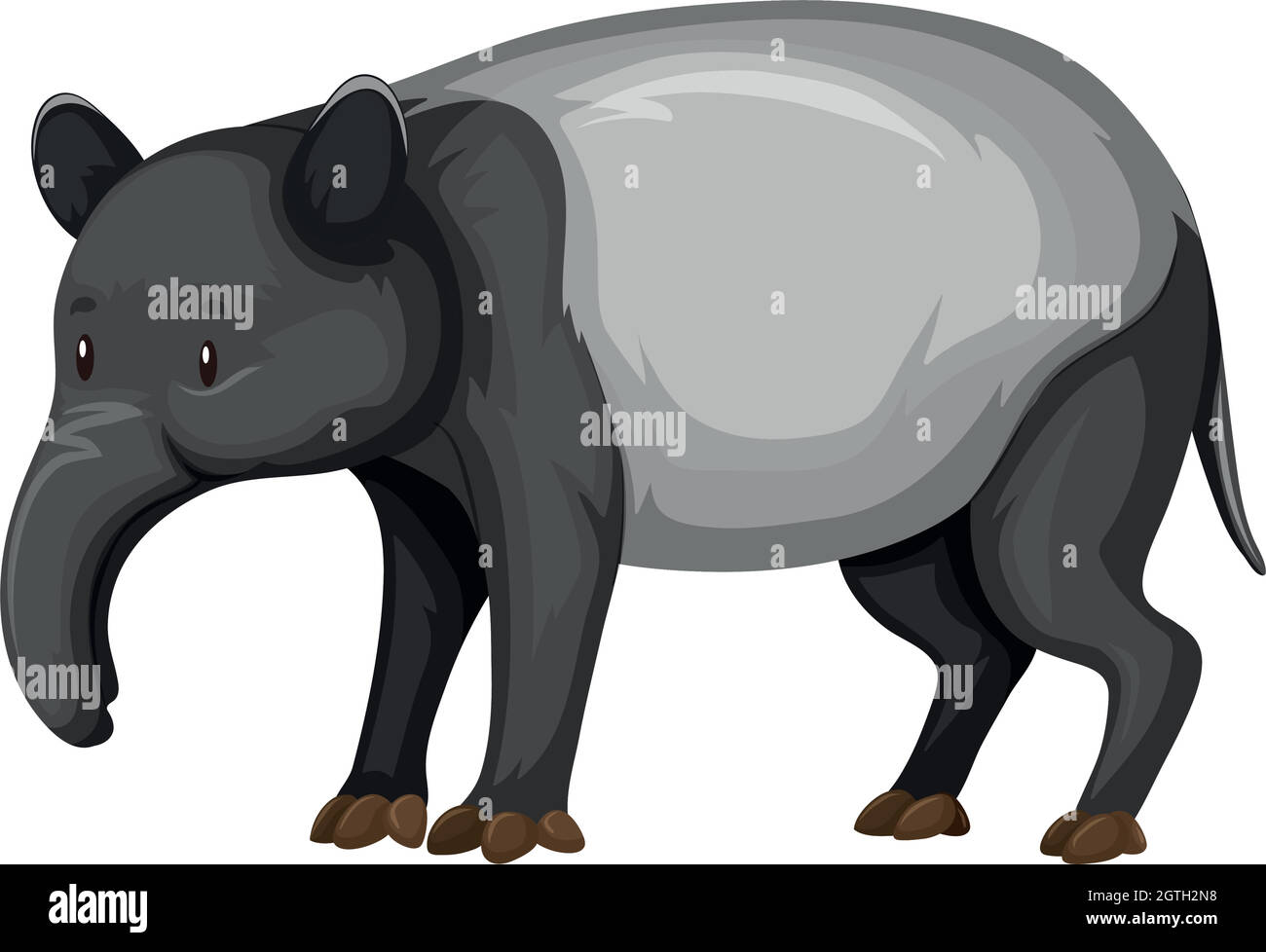 Tapir on white background Stock Vector Image & Art - Alamy