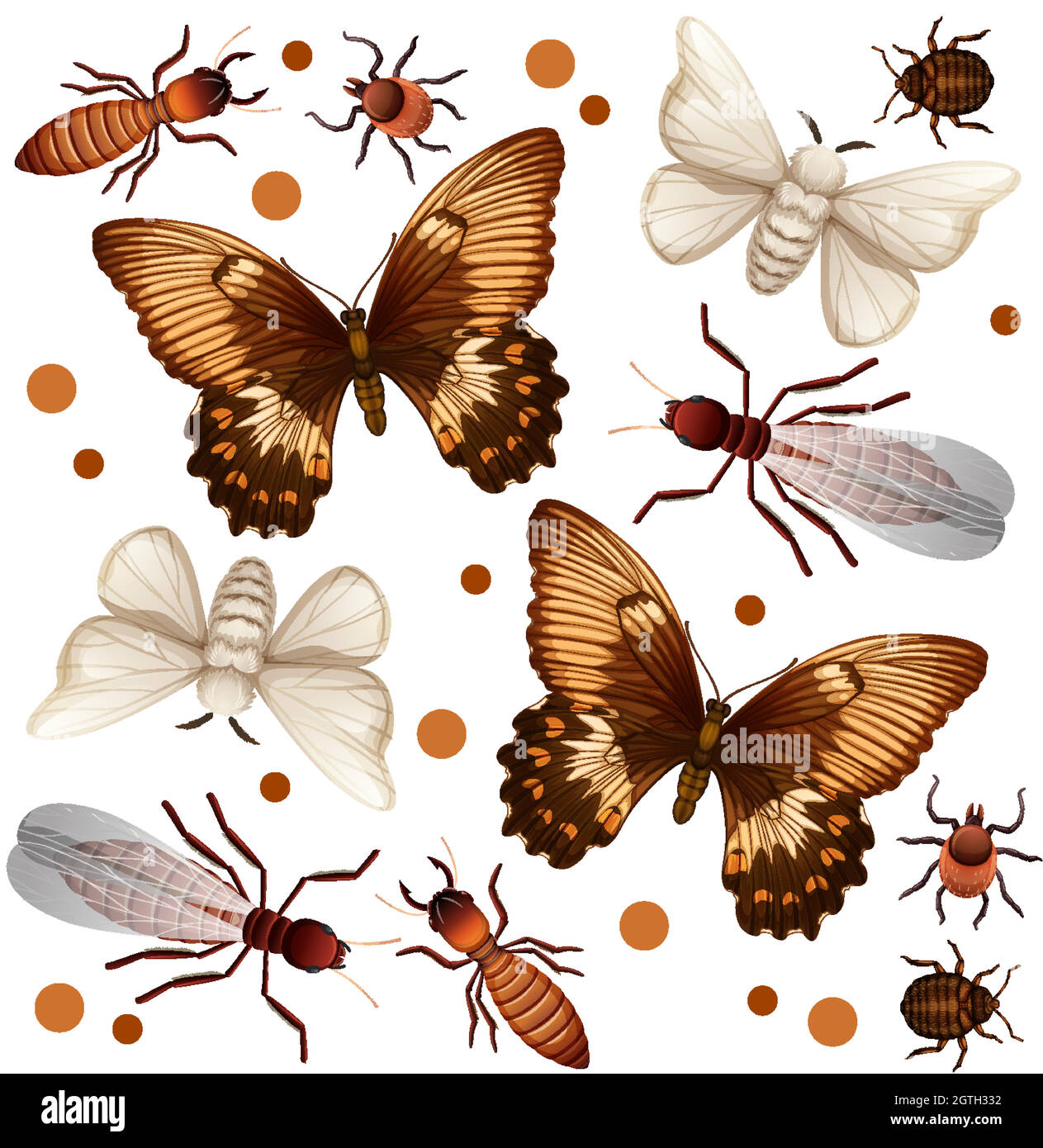 Set of different insects on white background Stock Vector Image & Art ...