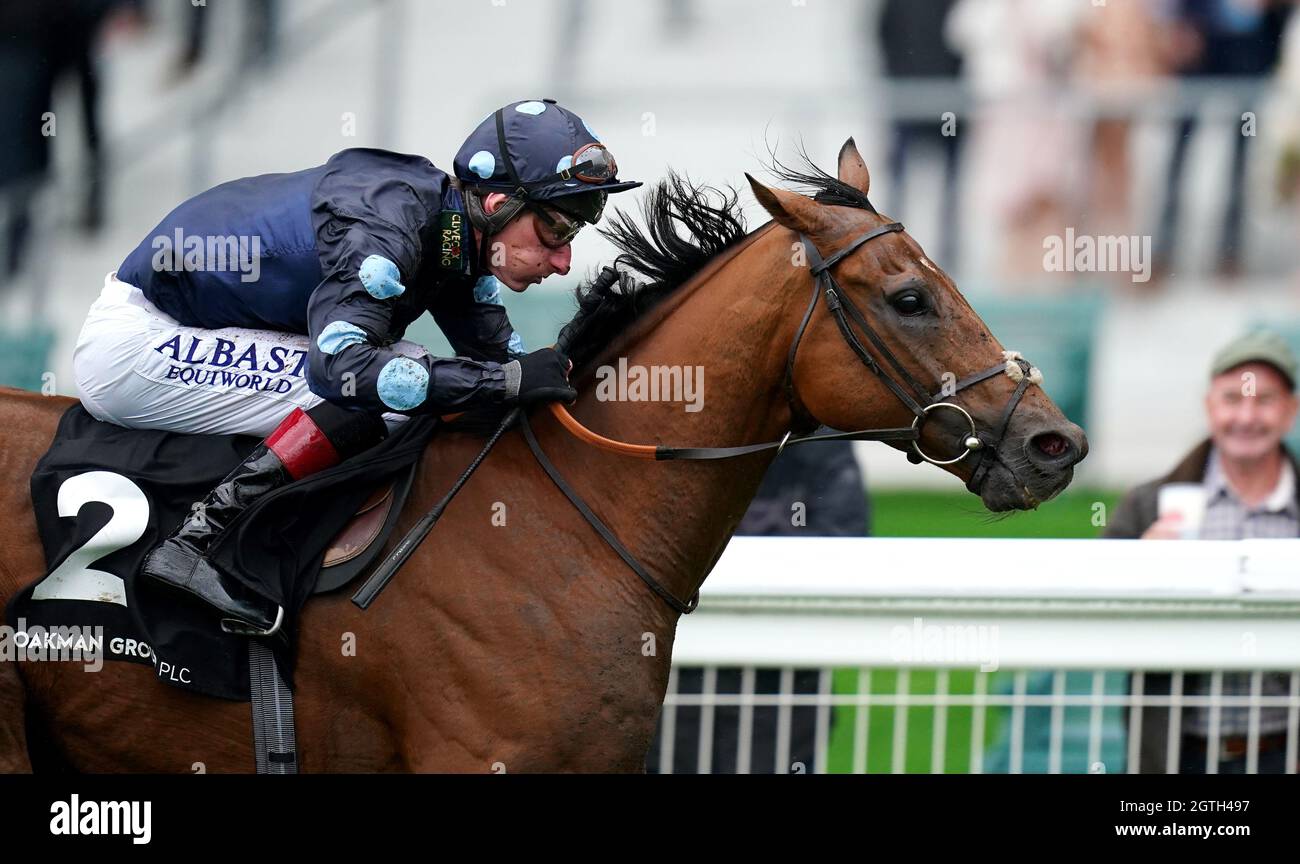 The oakman group rous stakes hi-res stock photography and images - Alamy