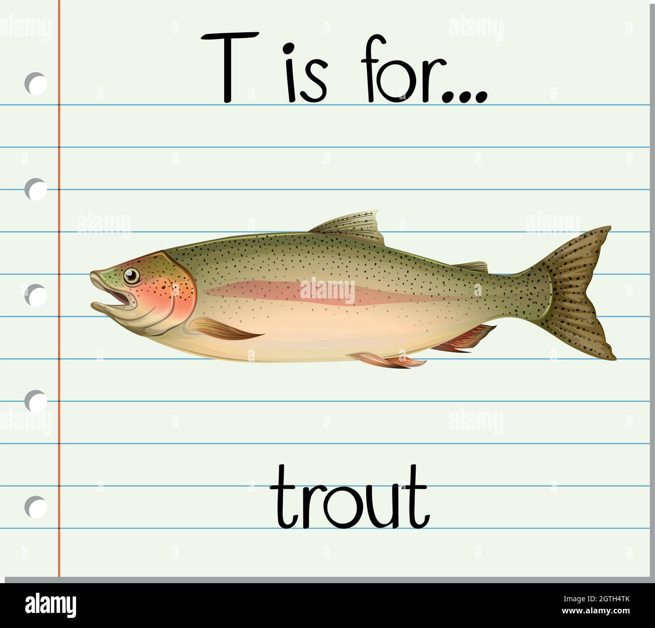 Flashcard letter T is for trout Stock Vector Image & Art - Alamy