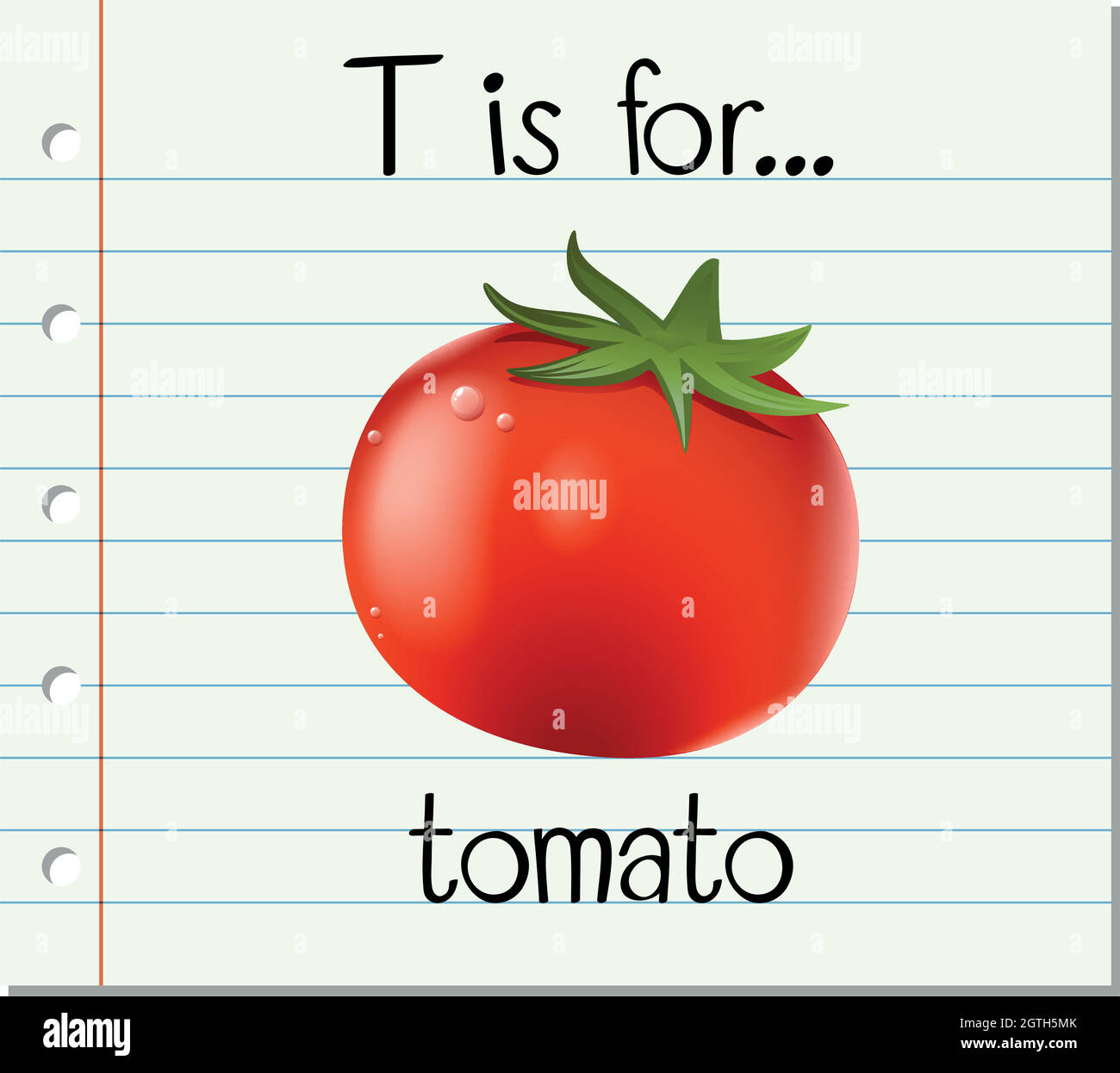 Flashcard letter T is for tomato Stock Vector Image & Art - Alamy