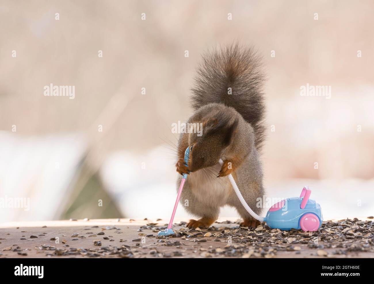 Pipe cleaner animal hi-res stock photography and images - Alamy