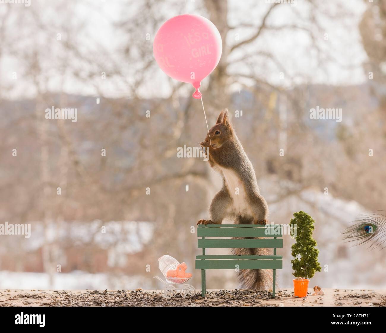 Animal head balloon hi-res stock photography and images - Alamy