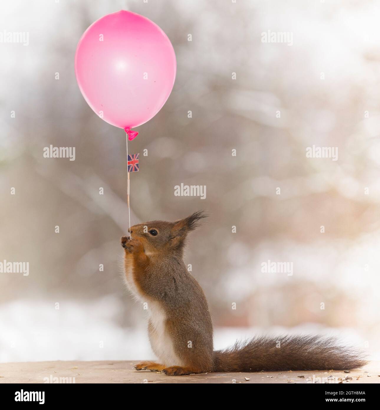 Animal head balloon hi-res stock photography and images - Alamy