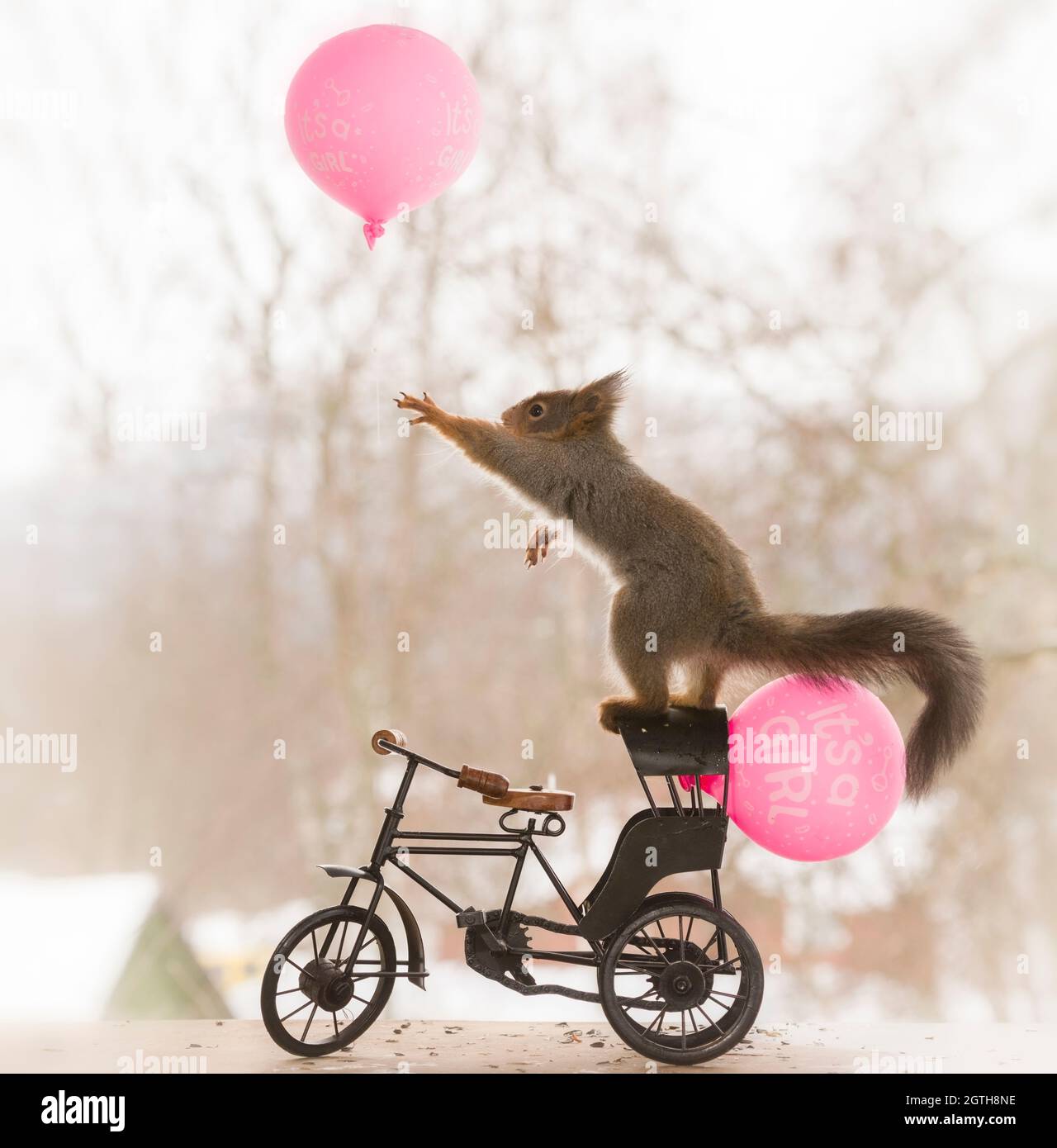 Cycle race celebrate hi-res stock photography and images - Alamy