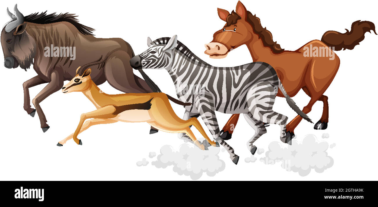 Wild animals group are running cartoon style isolated on white ...