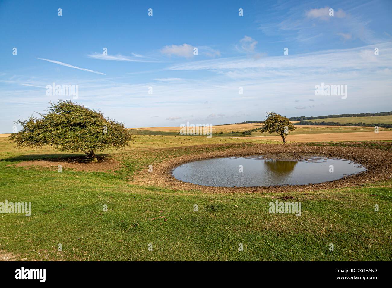 Ditchling beacon dew pond hi-res stock photography and images - Alamy