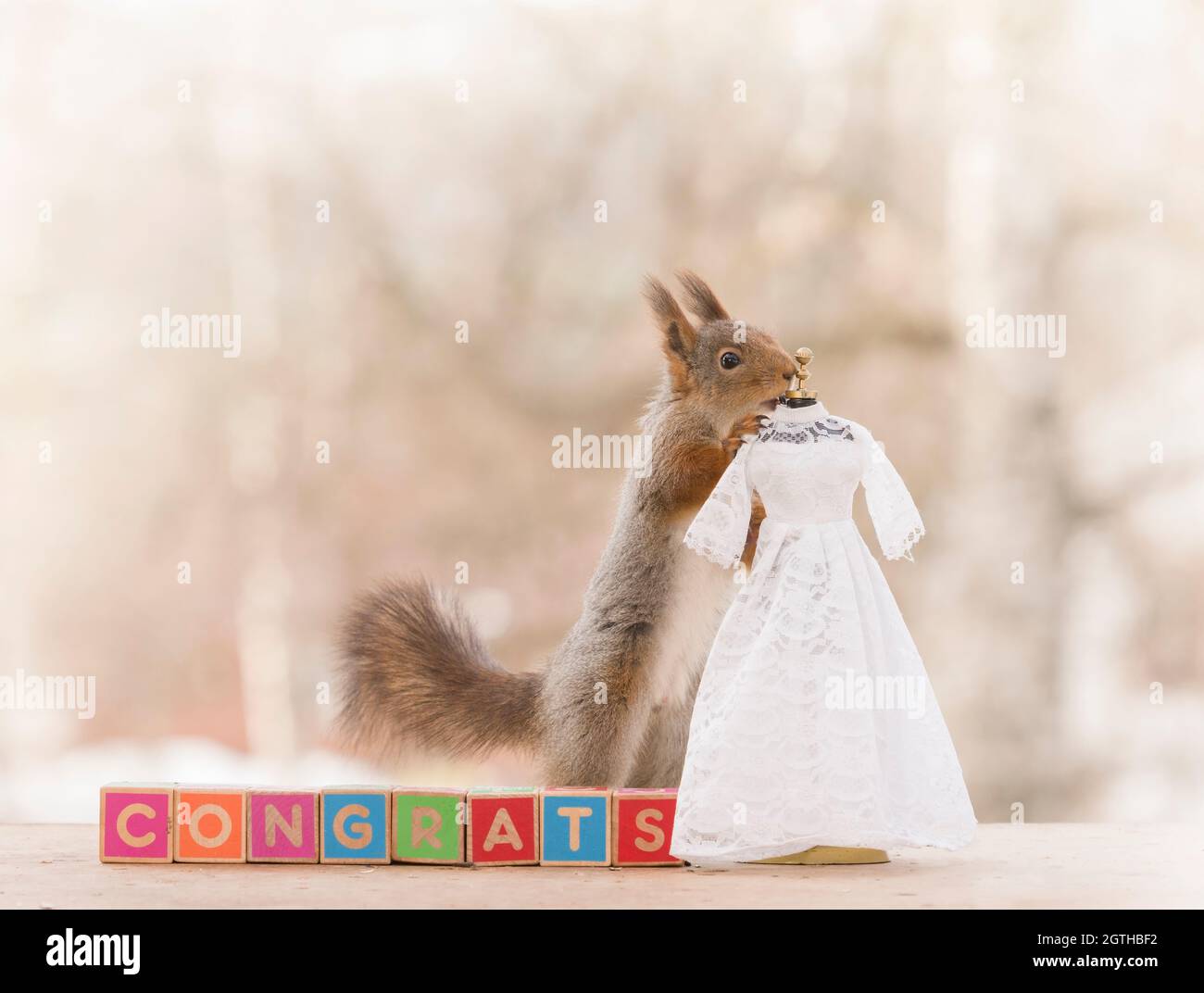 Congrats word hi-res stock photography and images - Alamy