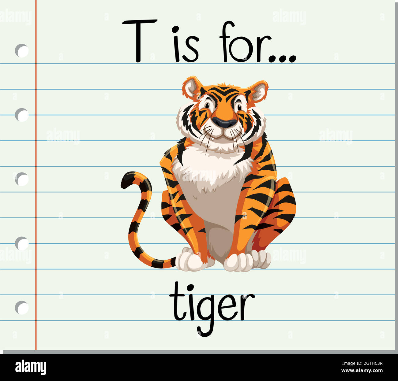 Flashcard letter T is for tiger Stock Vector Image & Art - Alamy