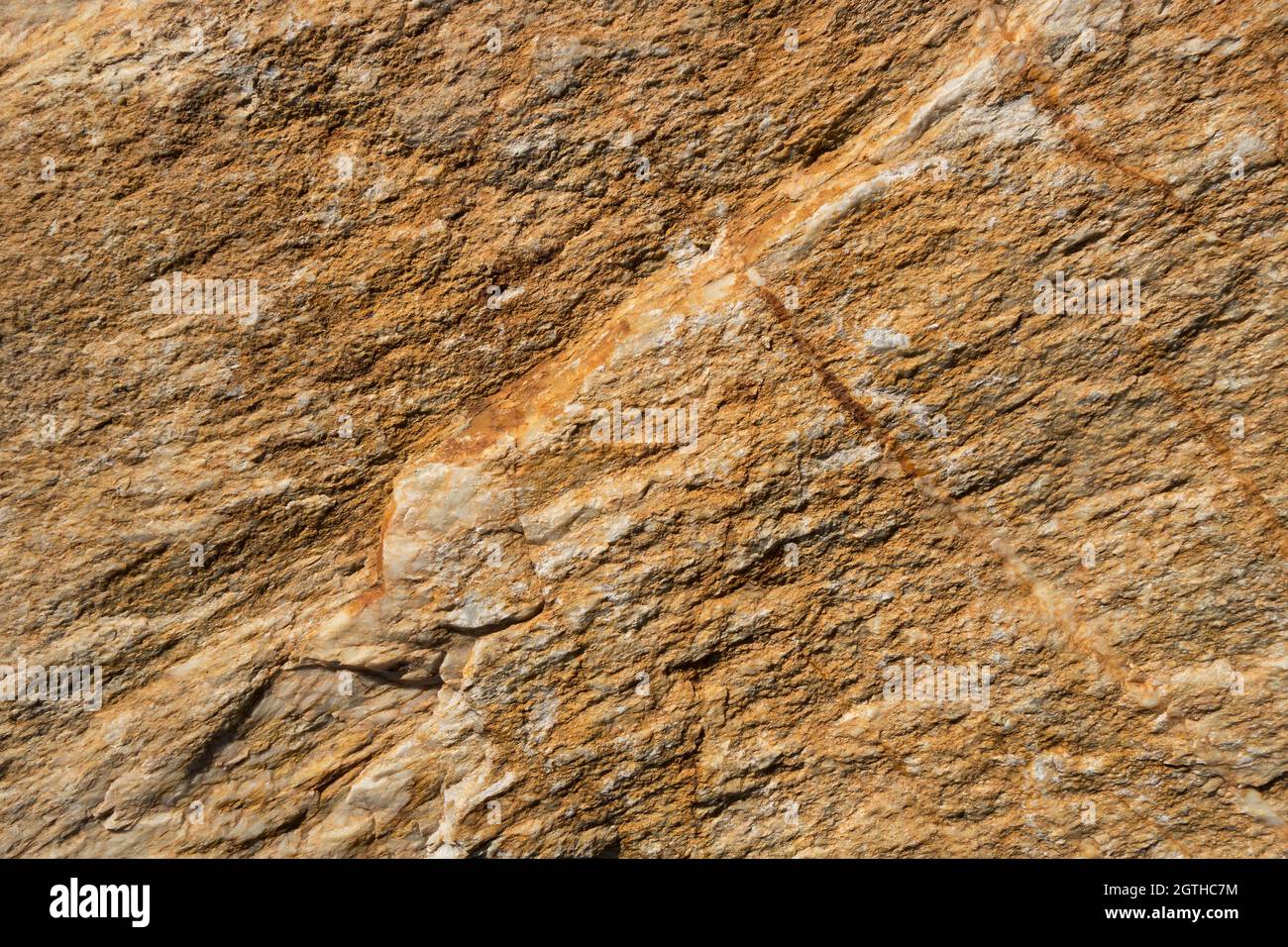 Foliated Metamorphic Rock Diagram