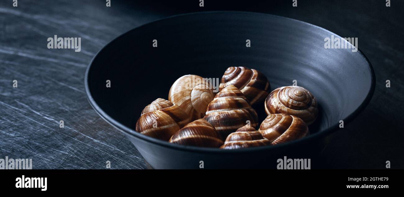 Spanish edible snail hi-res stock photography and images - Alamy