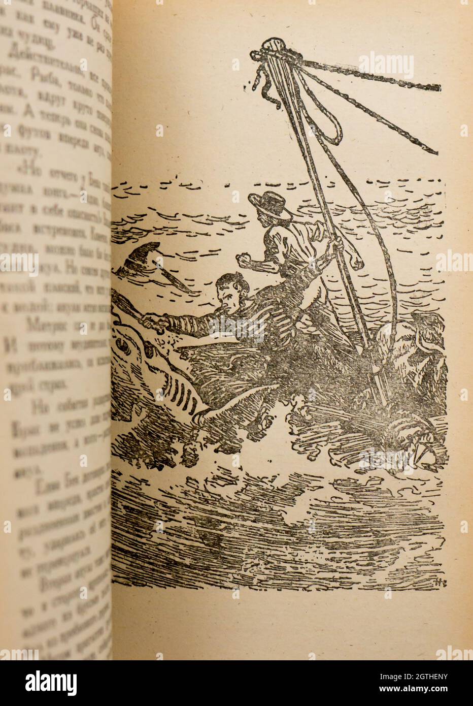 The "The Plant Hunters" and "The Cliff Climbers" of Thomas Mayne Reid ...