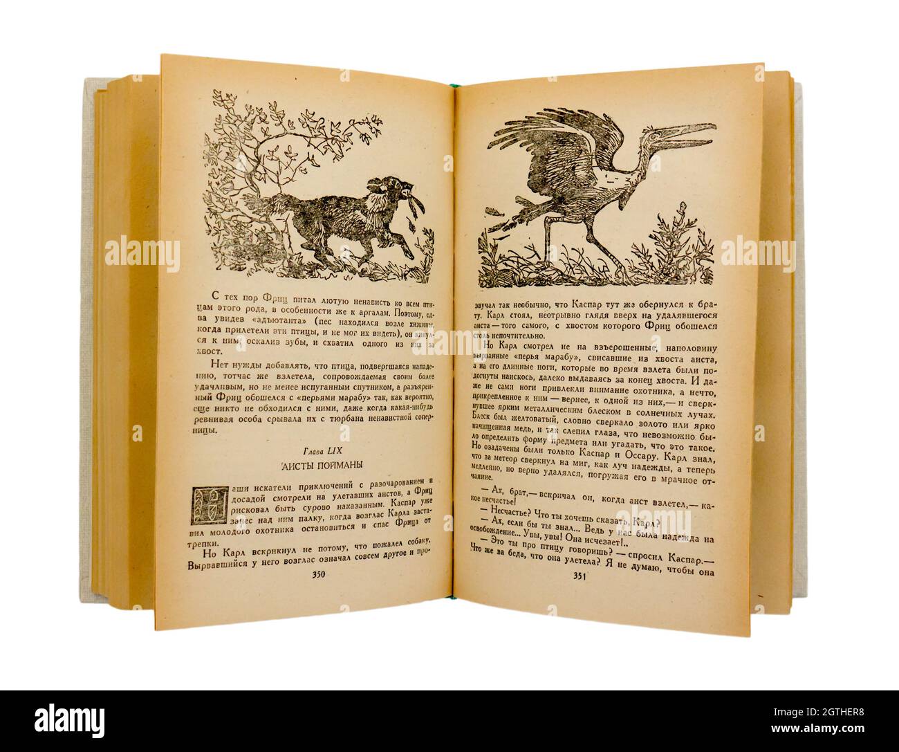 The "The Plant Hunters" and "The Cliff Climbers" of Thomas Mayne Reid ...