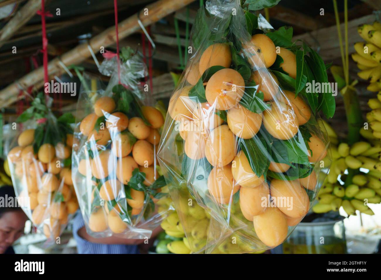 Hanging fruit bags hi-res stock photography and images - Alamy