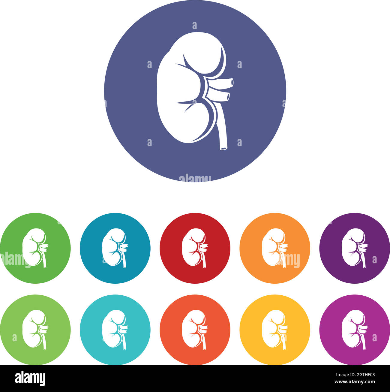 Kidney set icons Stock Vector Image & Art - Alamy