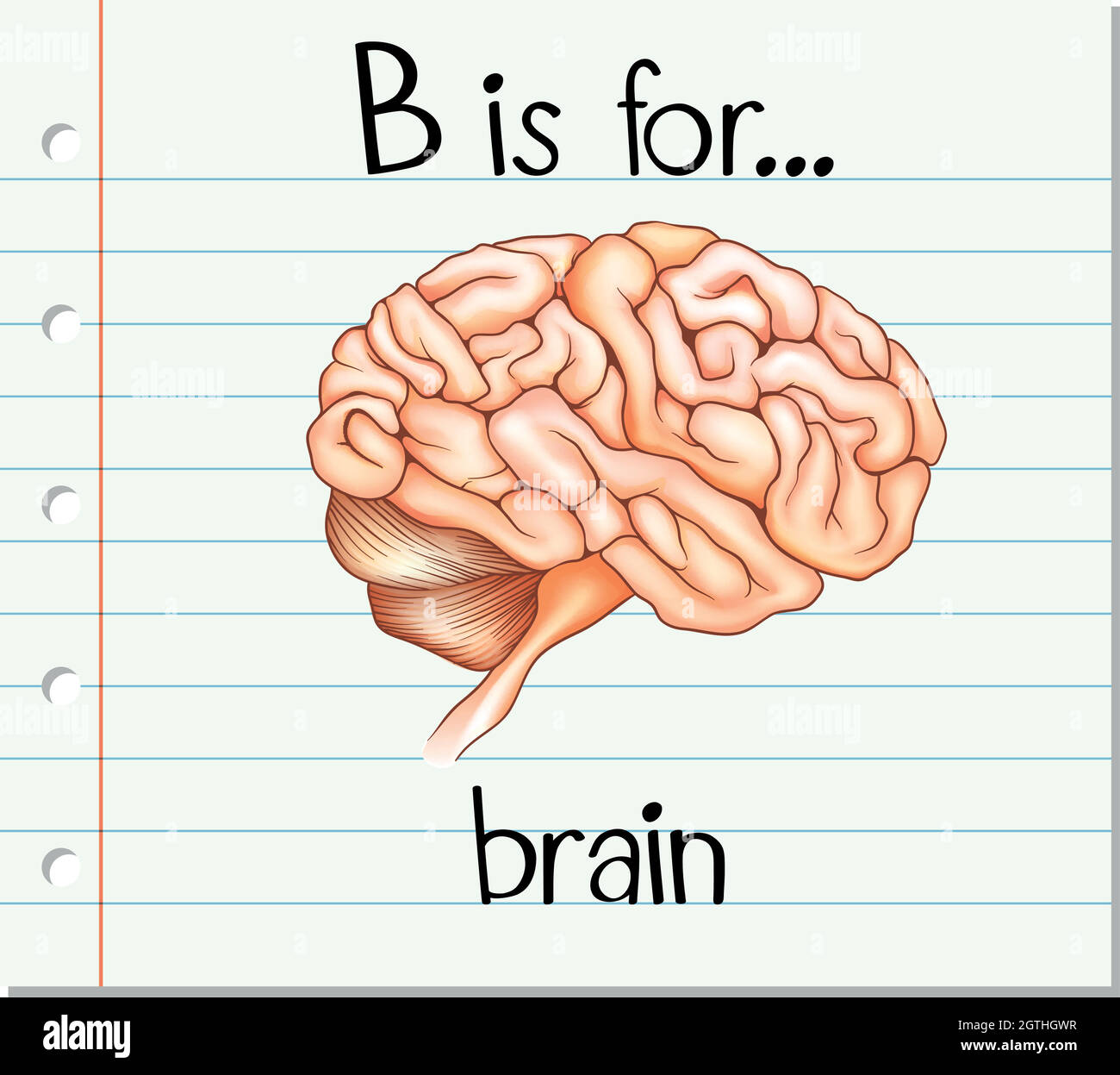 Human organs cartoon brain hi-res stock photography and images - Alamy