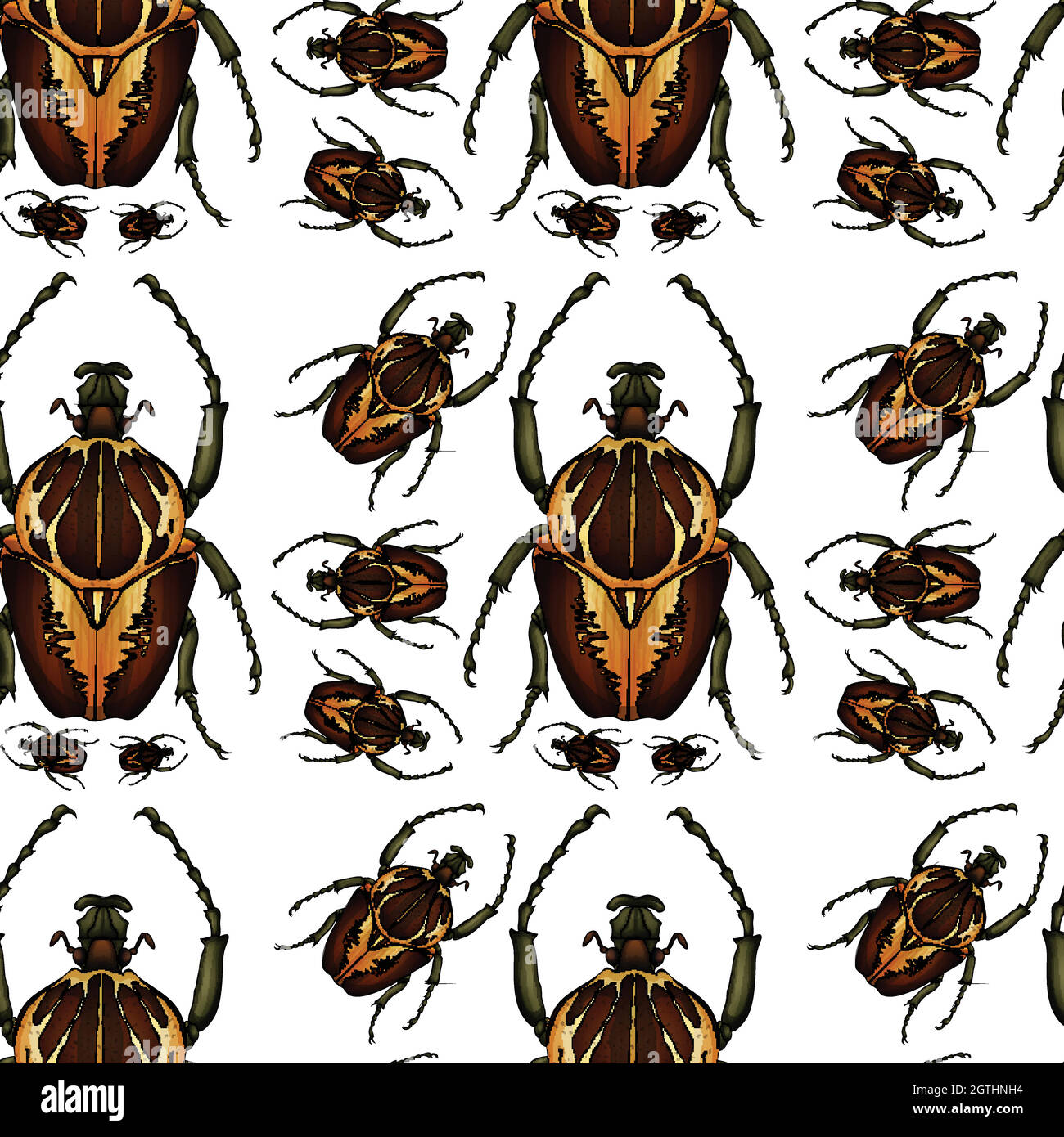 Beetle illustration hi-res stock photography and images - Alamy